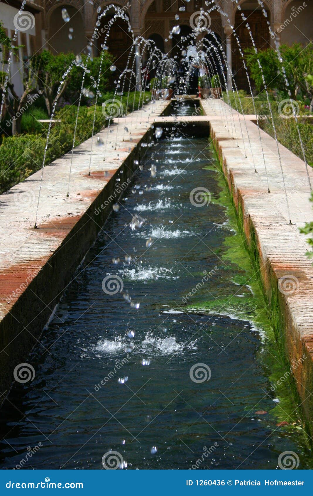 Water fountain alhambra stock photo. Image of green, culture - 1260436