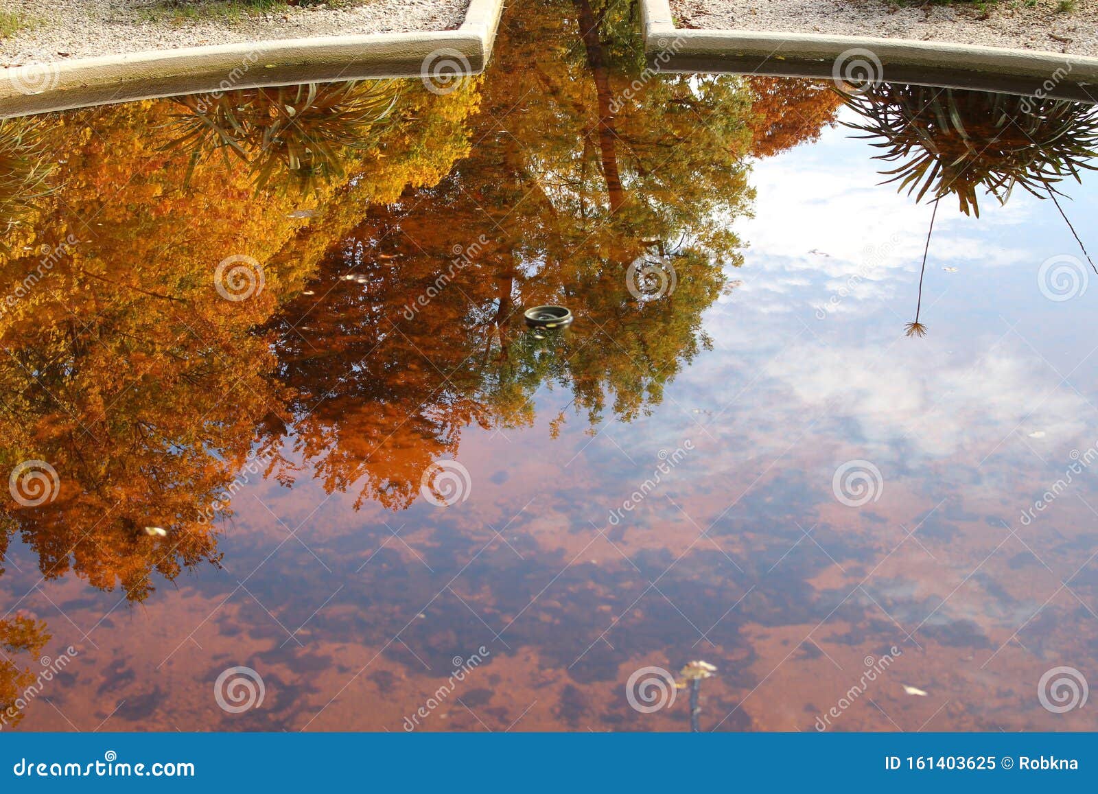 Fountain of Water Reflecting Trees Stock Image - Image of landscape ...
