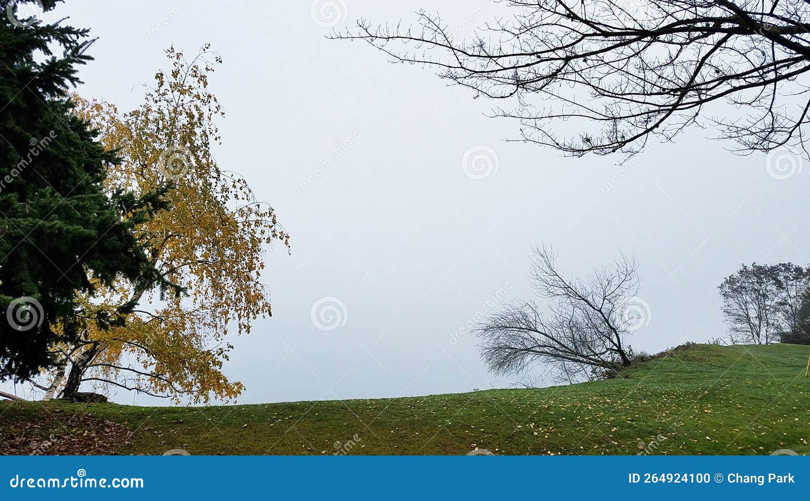 Water Front Park in Ruston Tacoma Stock Photo - Image of nature, ruston ...