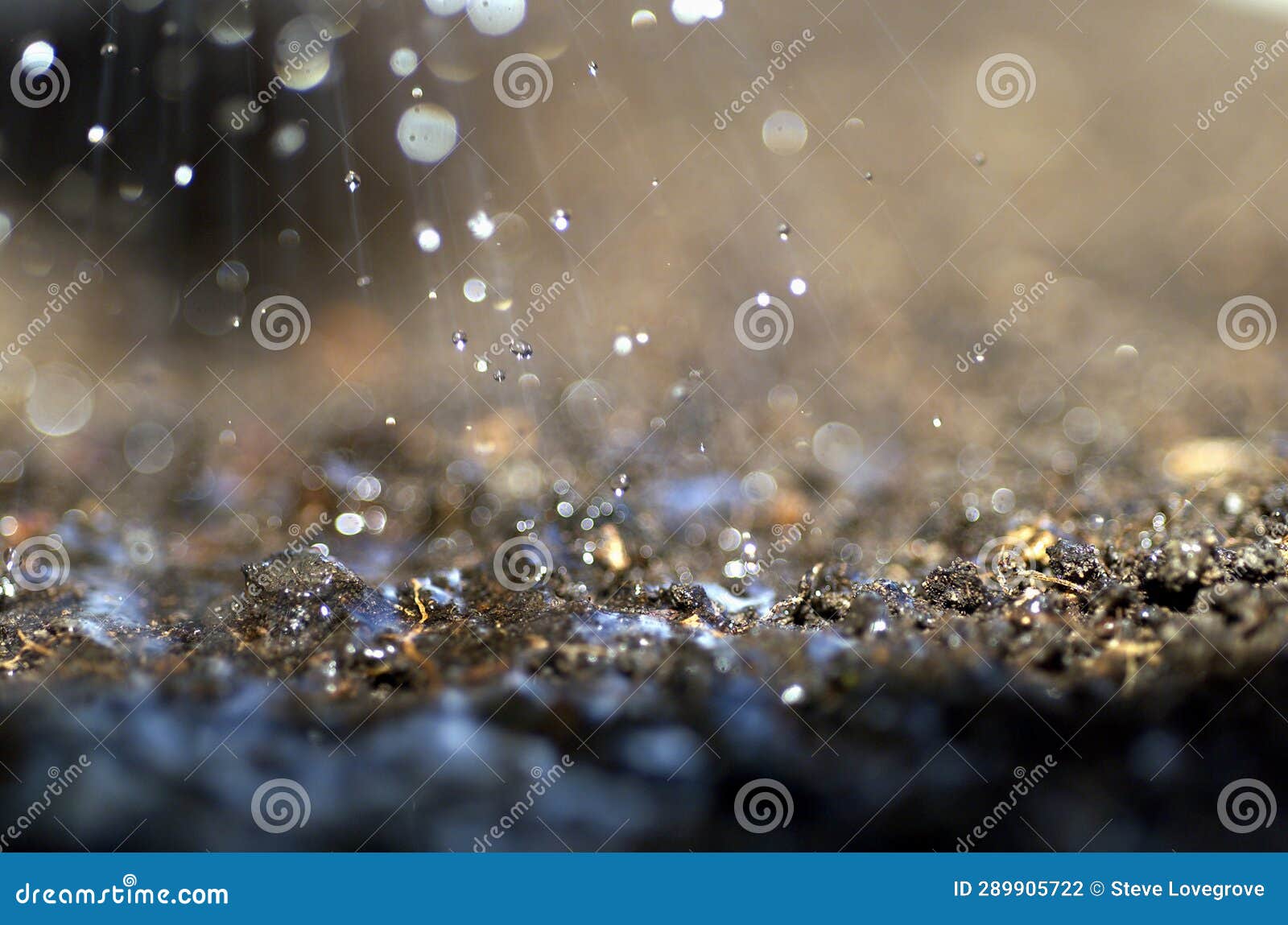 Water from a Garden Sprinkler Falling and Drops Bouncing Off the Soil ...