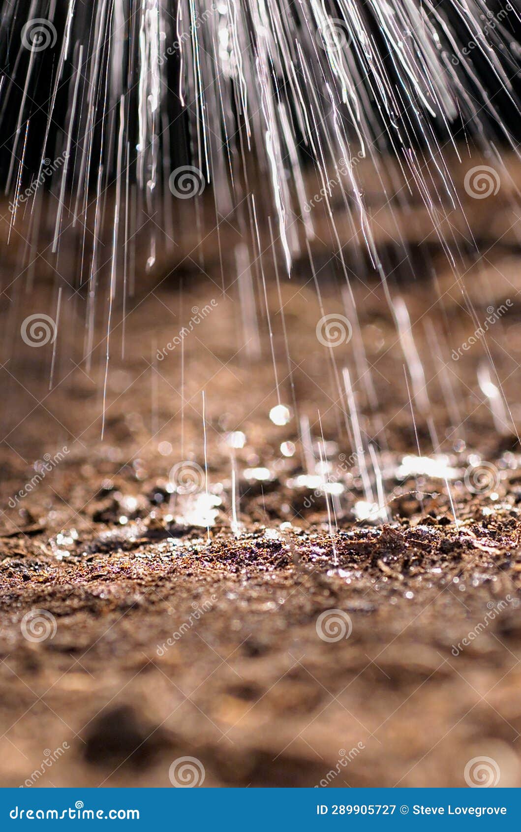 Water from a Garden Sprinkler Falling and Drops Bouncing Off the Soil ...