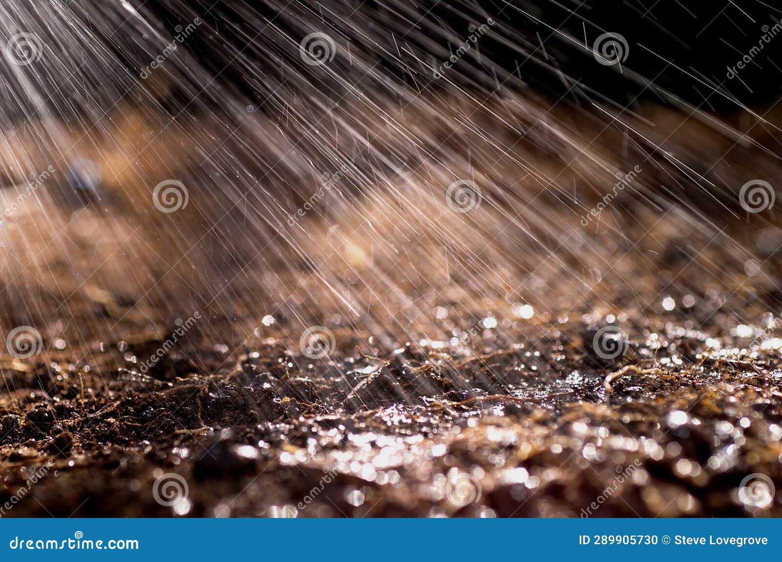 Water from a Garden Sprinkler Falling and Drops Bouncing Off the Soil ...