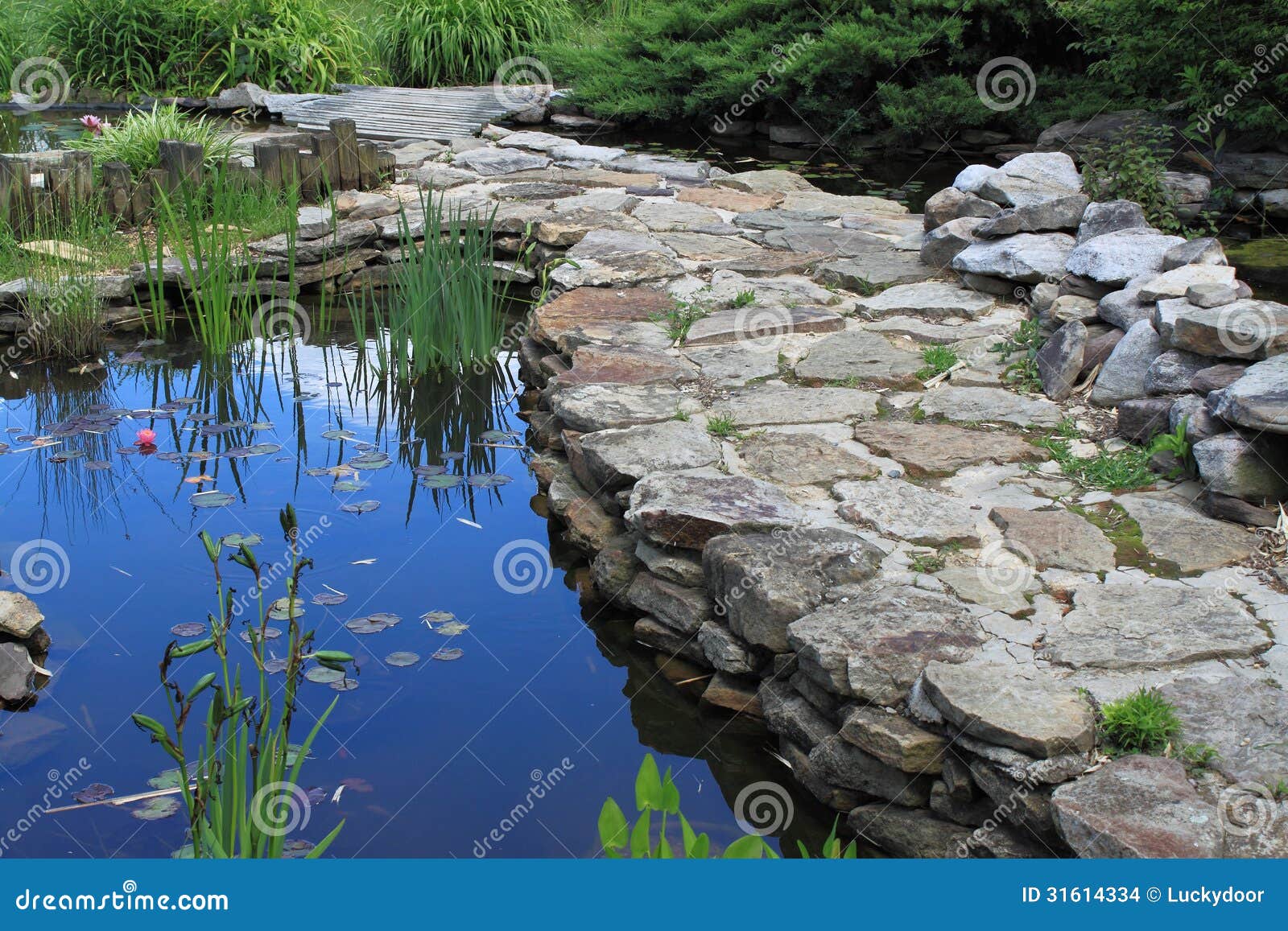 Water Garden with Stone Path Stock Photo - Image of sunny, farm: 31614334