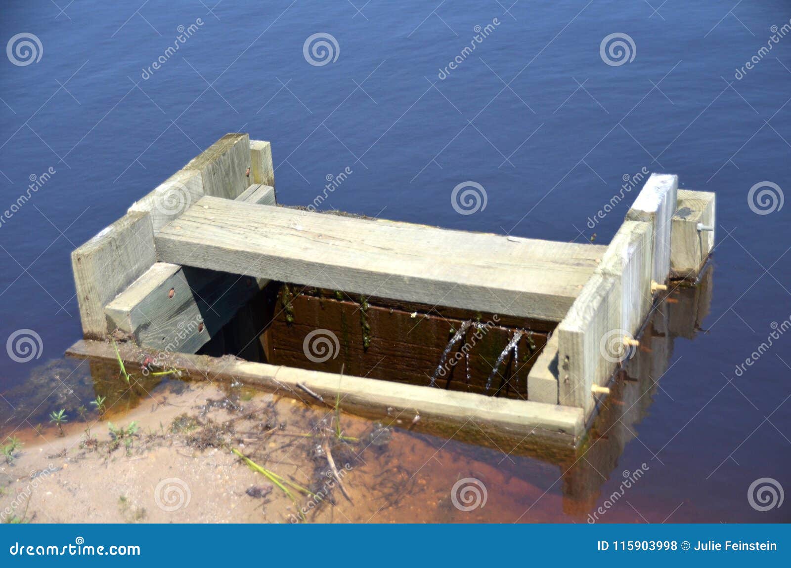 Water Gate stock photo. Image of pond, farm, flow, flood - 115903998