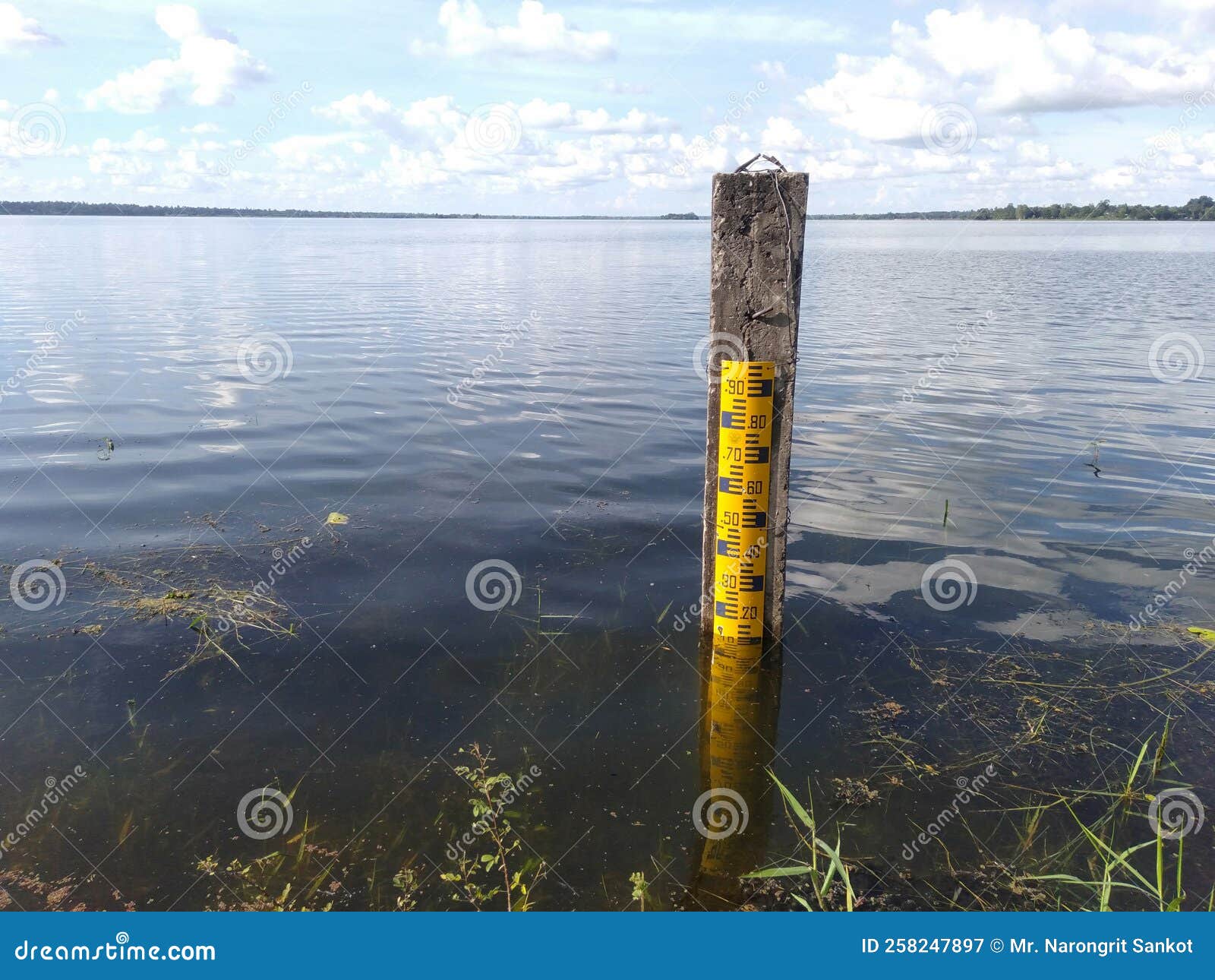 Water Gauge is Mounted on a Cement Pole. Stock Image - Image of mounted ...