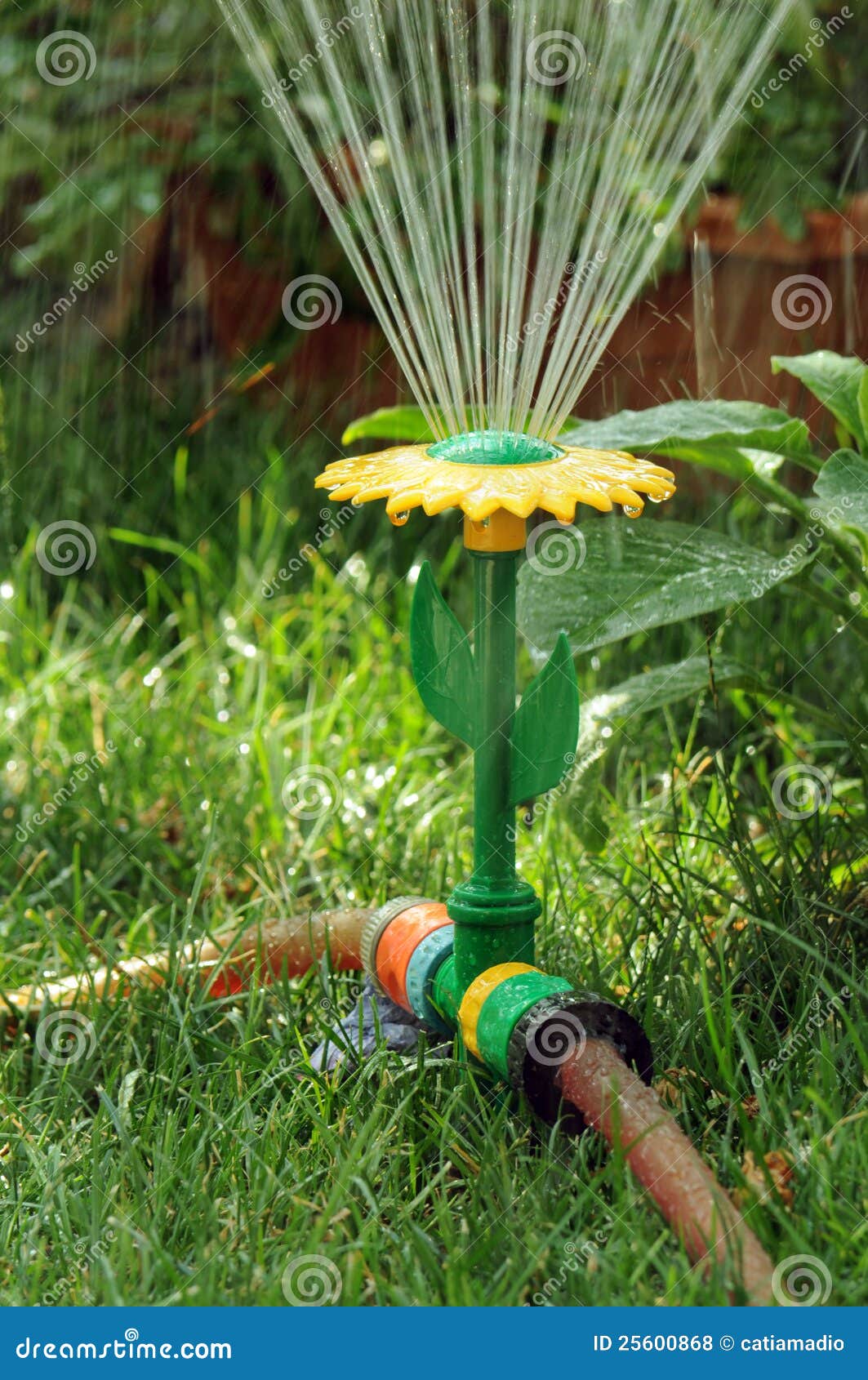 Water gevende sproeier stock foto. Image of systeem, versheid - 25600868