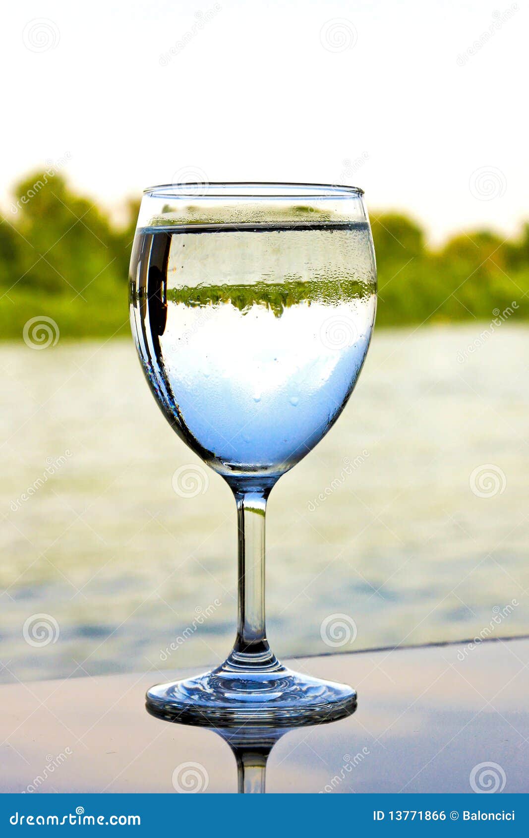 Water glass stock photo. Image of mirror, blissful, plants - 13771866