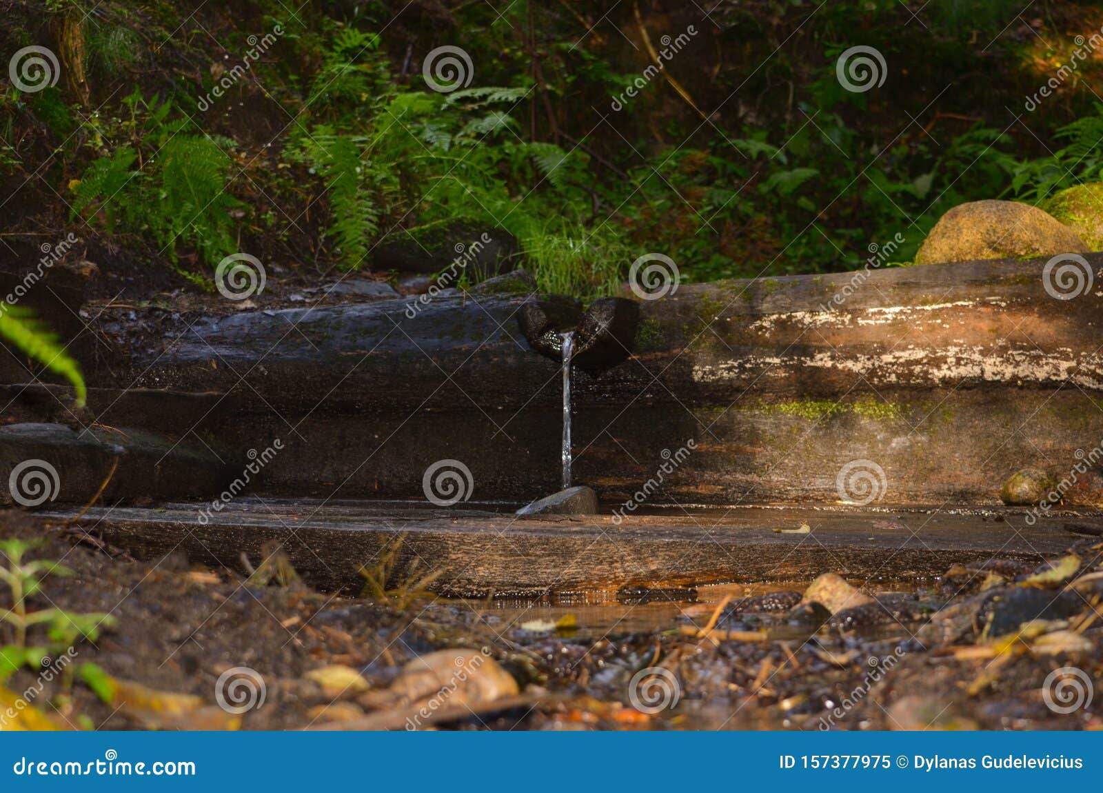 Water Going Down in Eco Green Park Stock Image - Image of water, park ...
