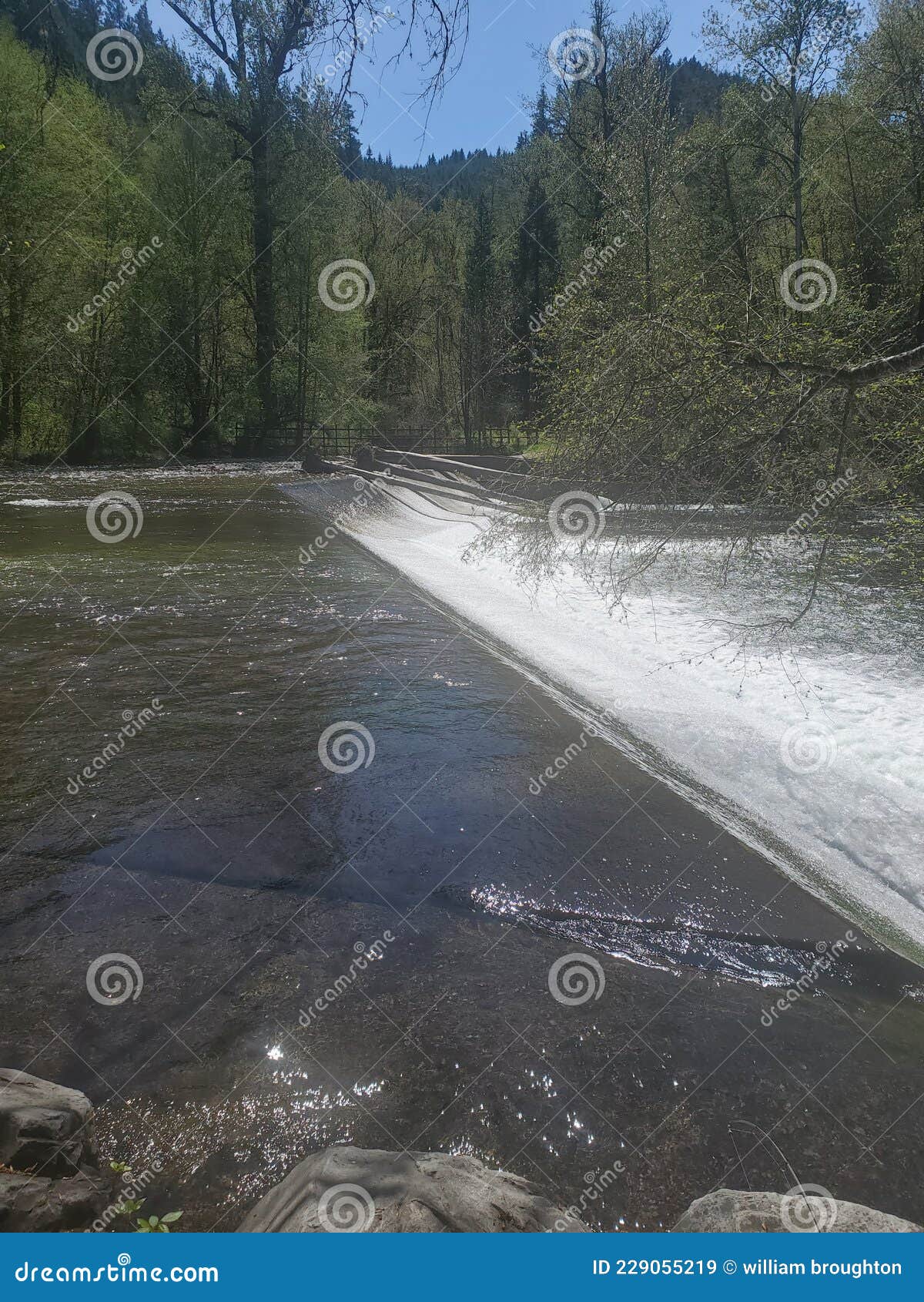 Water going over falls stock image. Image of snow, tree - 229055219