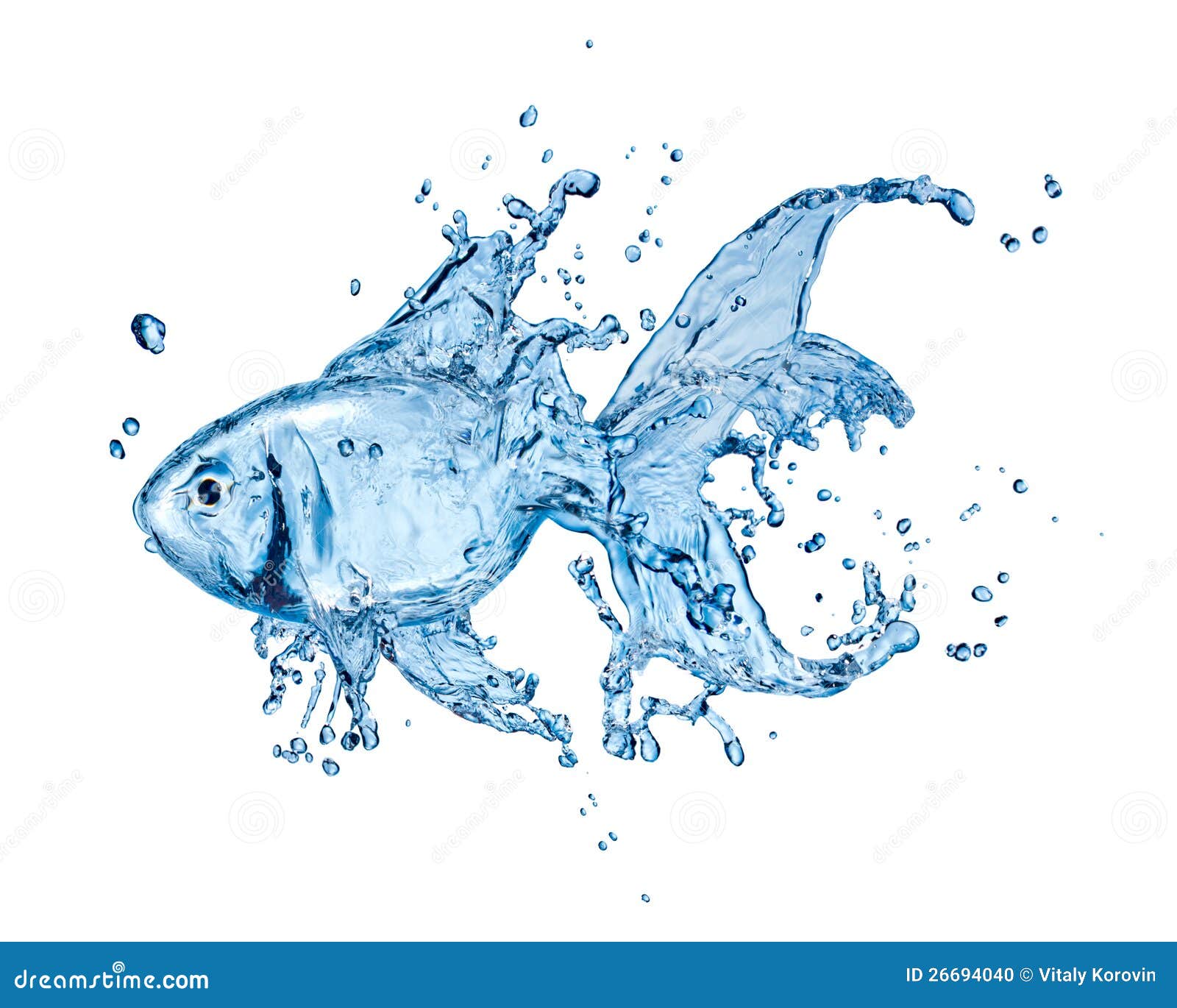 Water goldfish stock illustration. Illustration of marine - 26694040