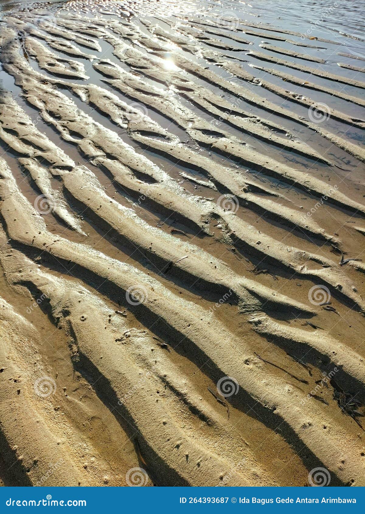 When the water gone home stock image. Image of gone - 264393687