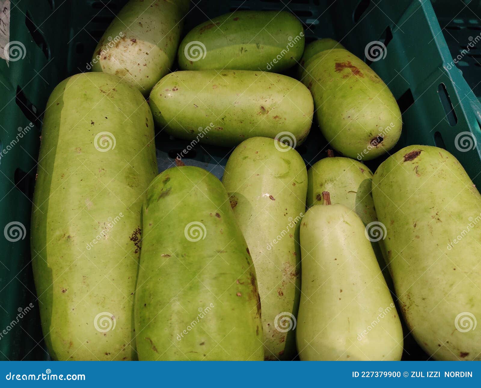 Water Gourds in a Local Fresh Market Stock Photo - Image of agriculture ...