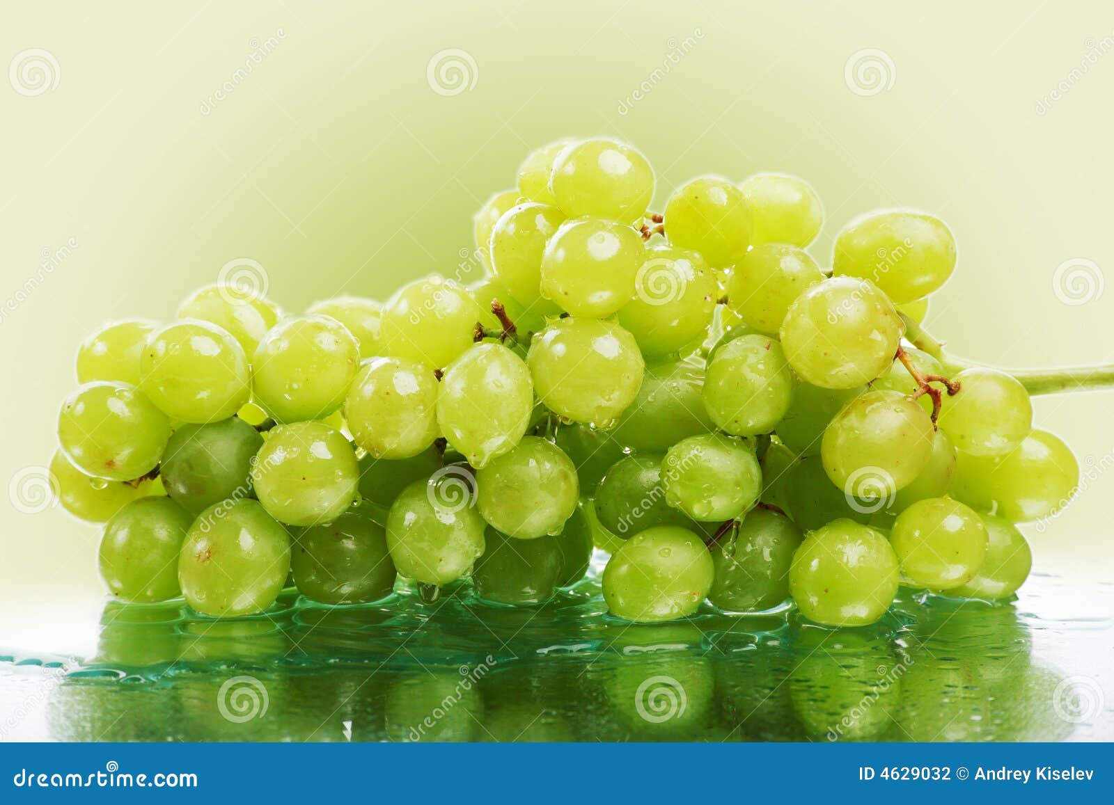 24,047 Water Grape Stock Photos - Free & Royalty-Free Stock Photos from ...
