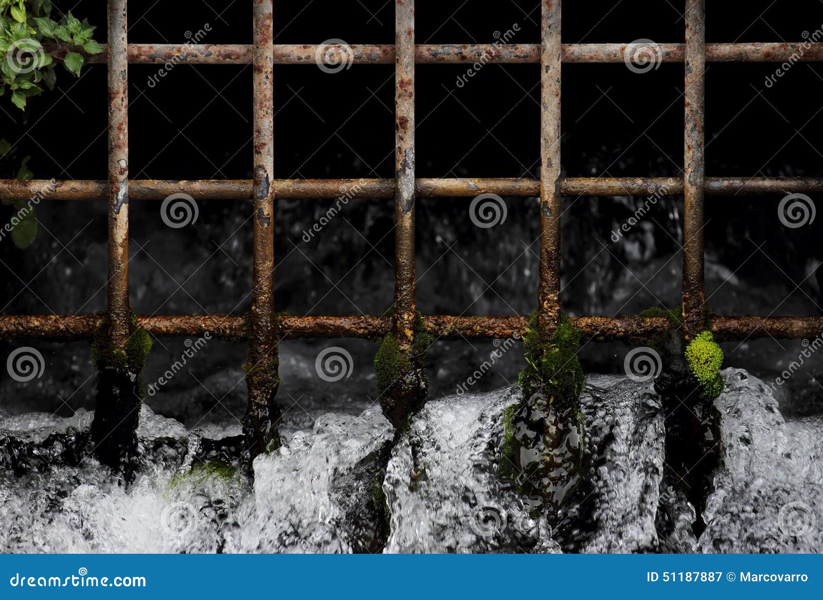 Water grating stock image. Image of storm, grill, concept - 51187887