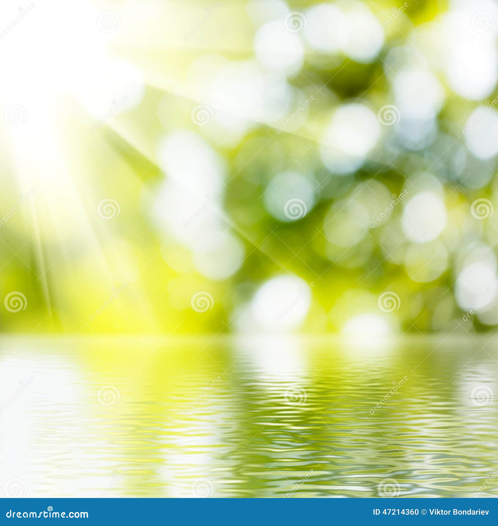 Water on Green Blurred Background Stock Photo - Image of branch, bloom ...