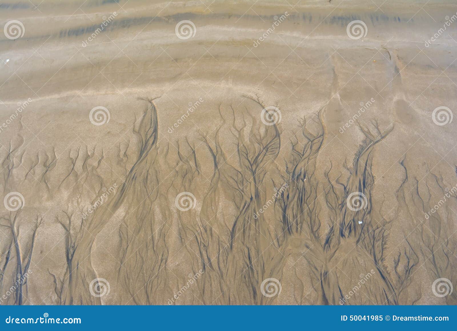 Water grooves in sand stock image. Image of grooves, donna - 50041985