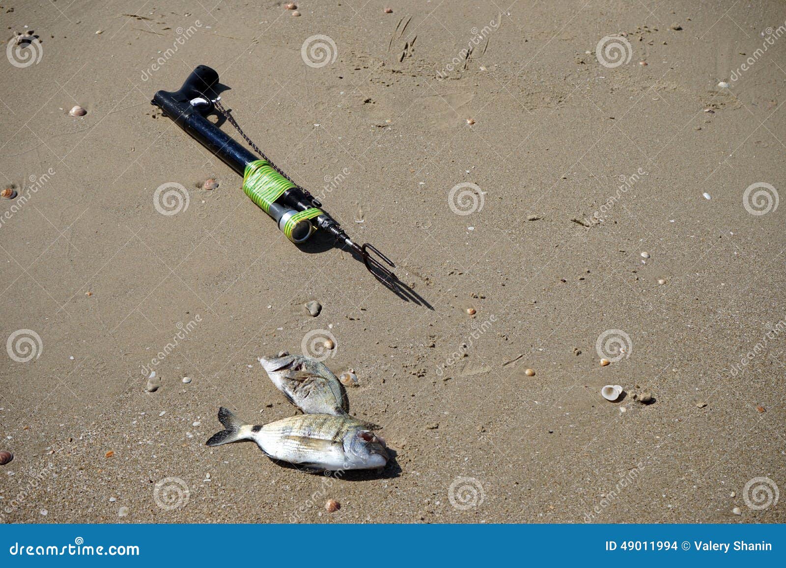 Water gun stock photo. Image of beach, coast, sharp, israel - 49011994