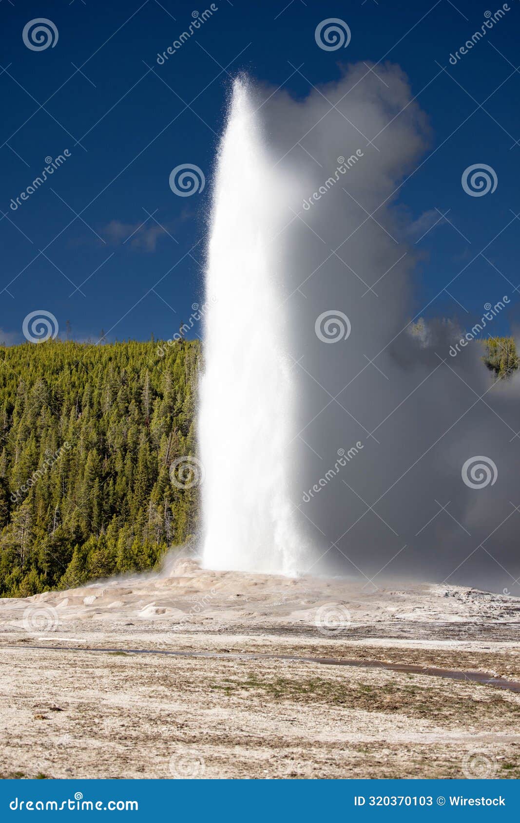 Water Gushing from the Ground into the Sky Stock Image - Image of ...