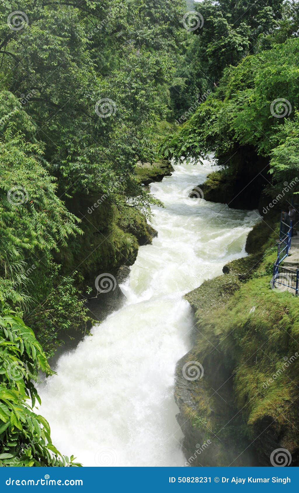 Water Gushing Out in Davis Waterfall Stock Image - Image of chango ...