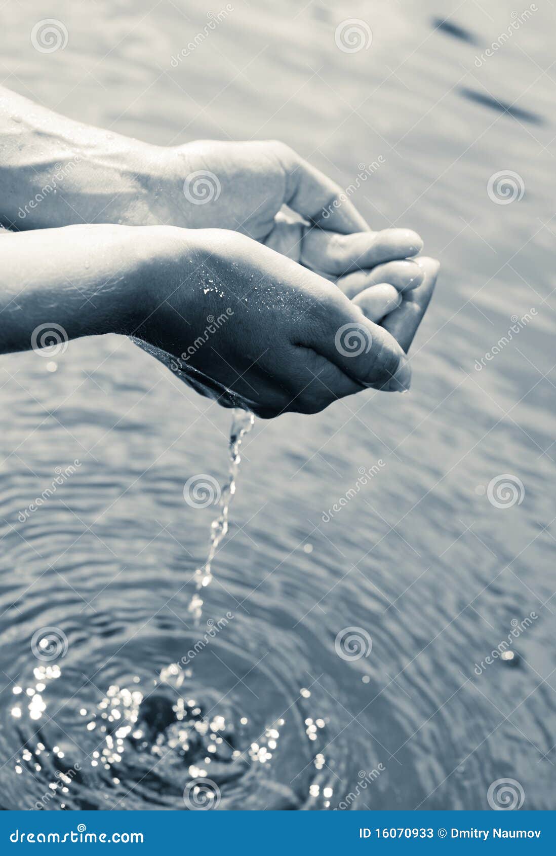 Water in hands stock image. Image of purity, drop, handful - 16070933