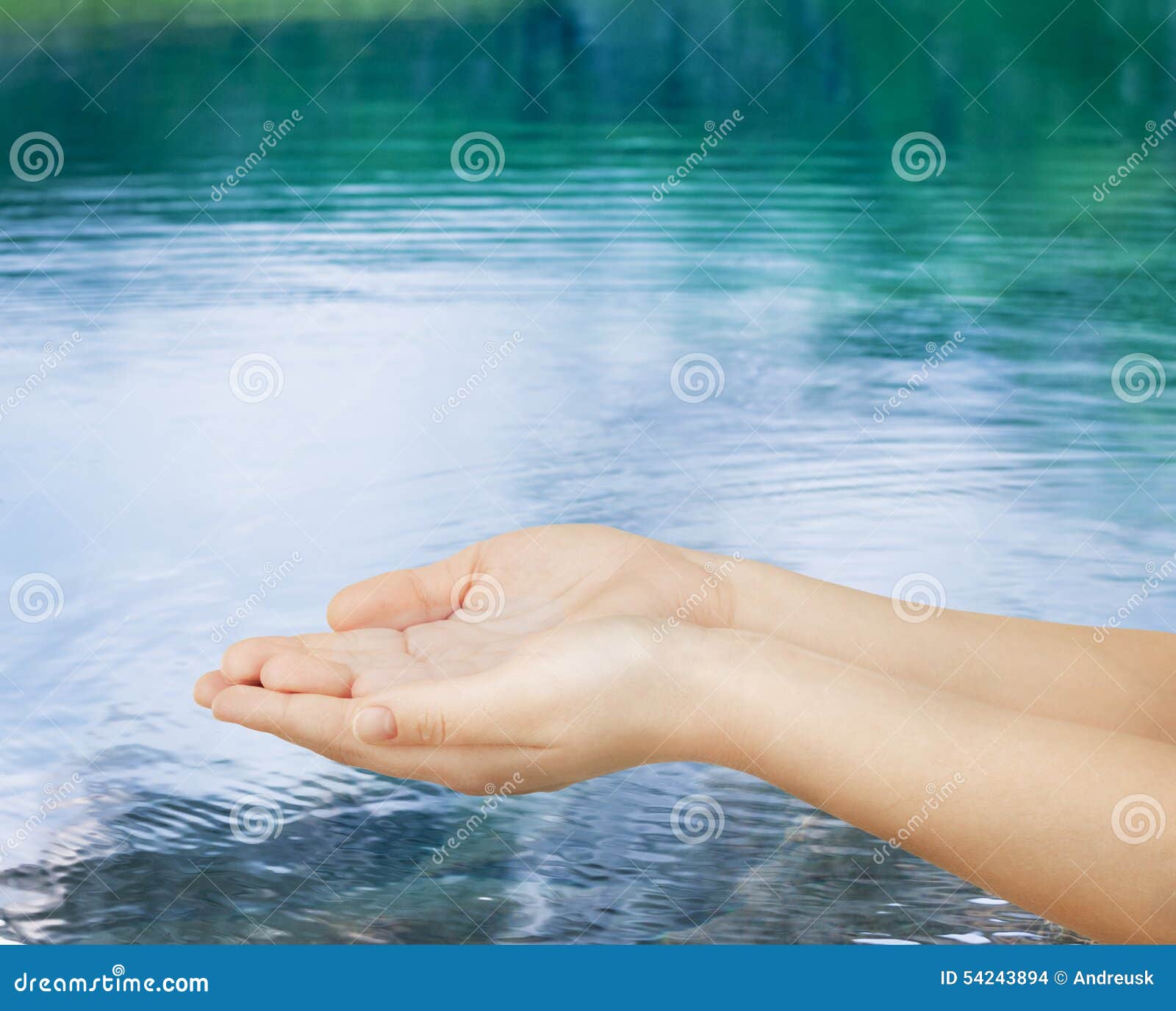 Water stock photo. Image of lake, hand, holding, person - 54243894