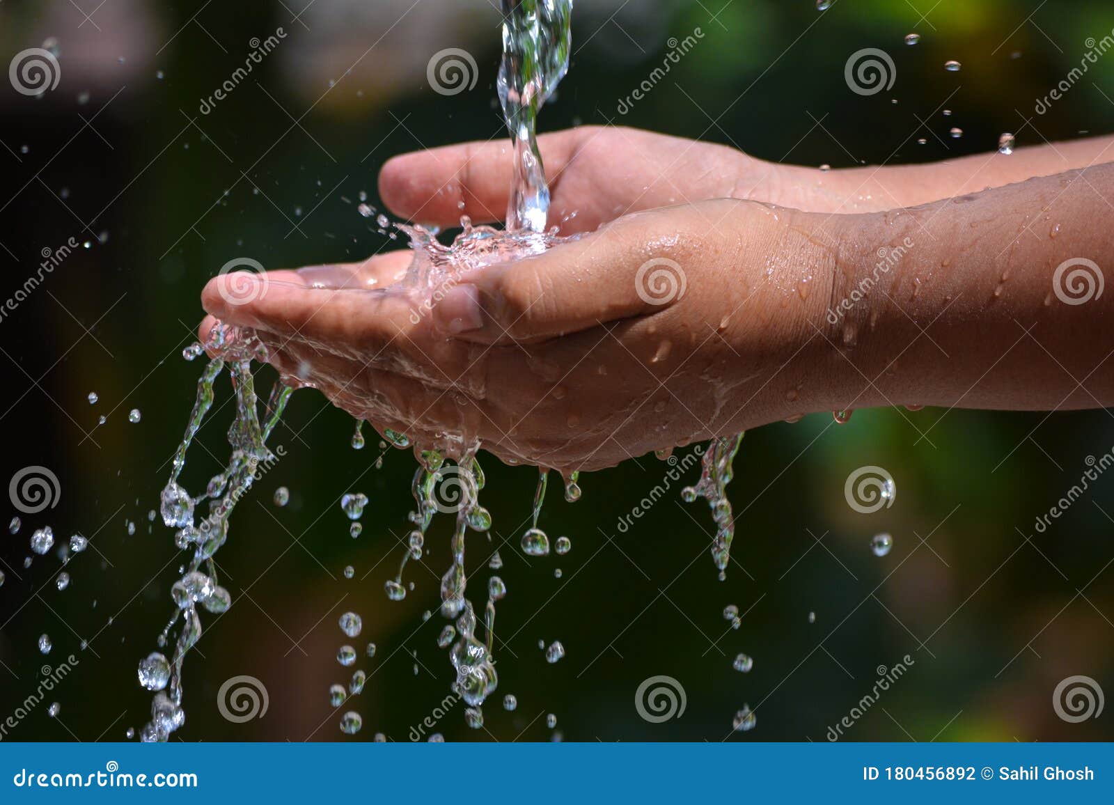 Water in hands. stock photo. Image of freshness, palm - 180456892