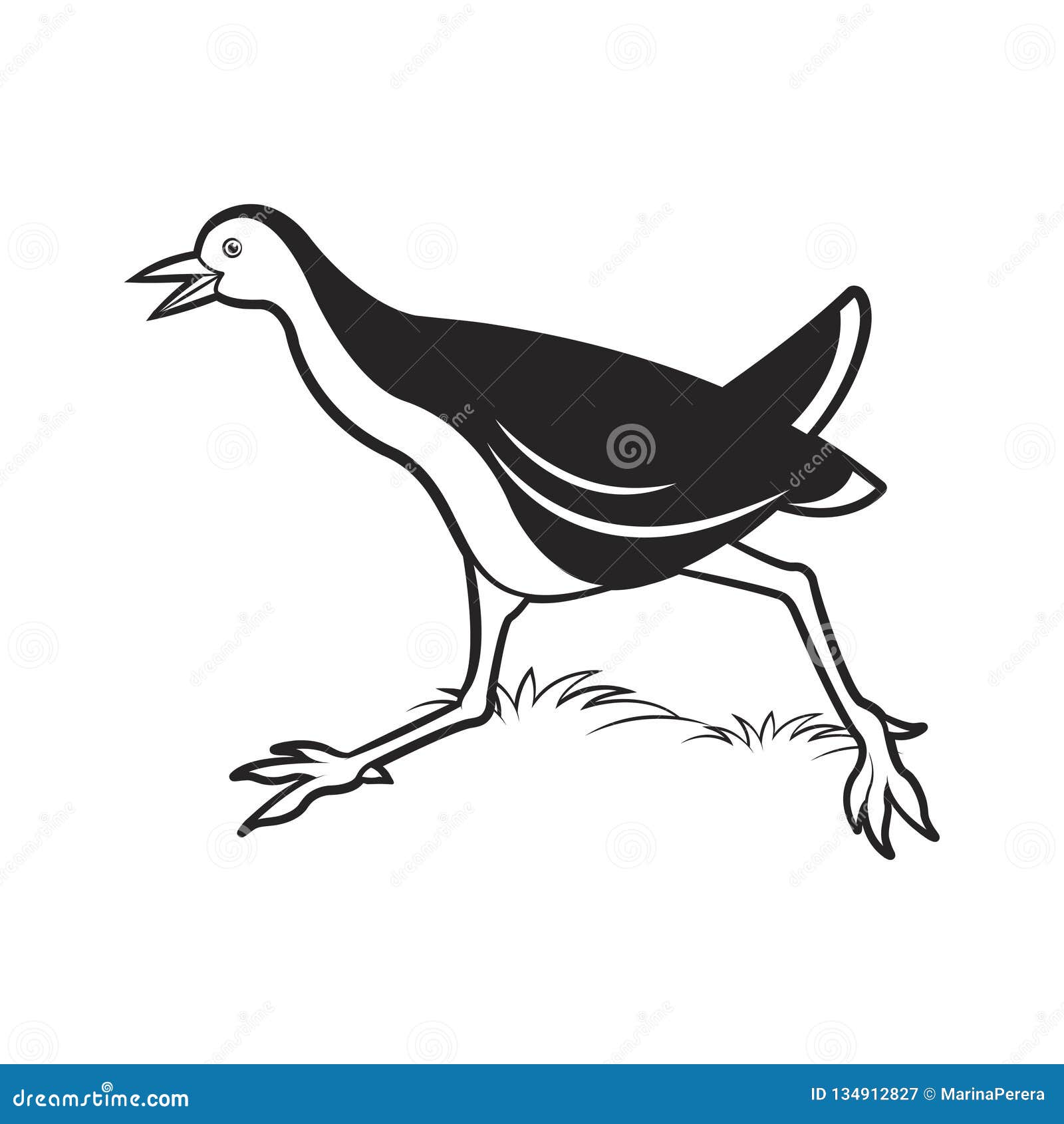 Water Hen Cartoon Running Fast Stock Vector - Illustration of running ...