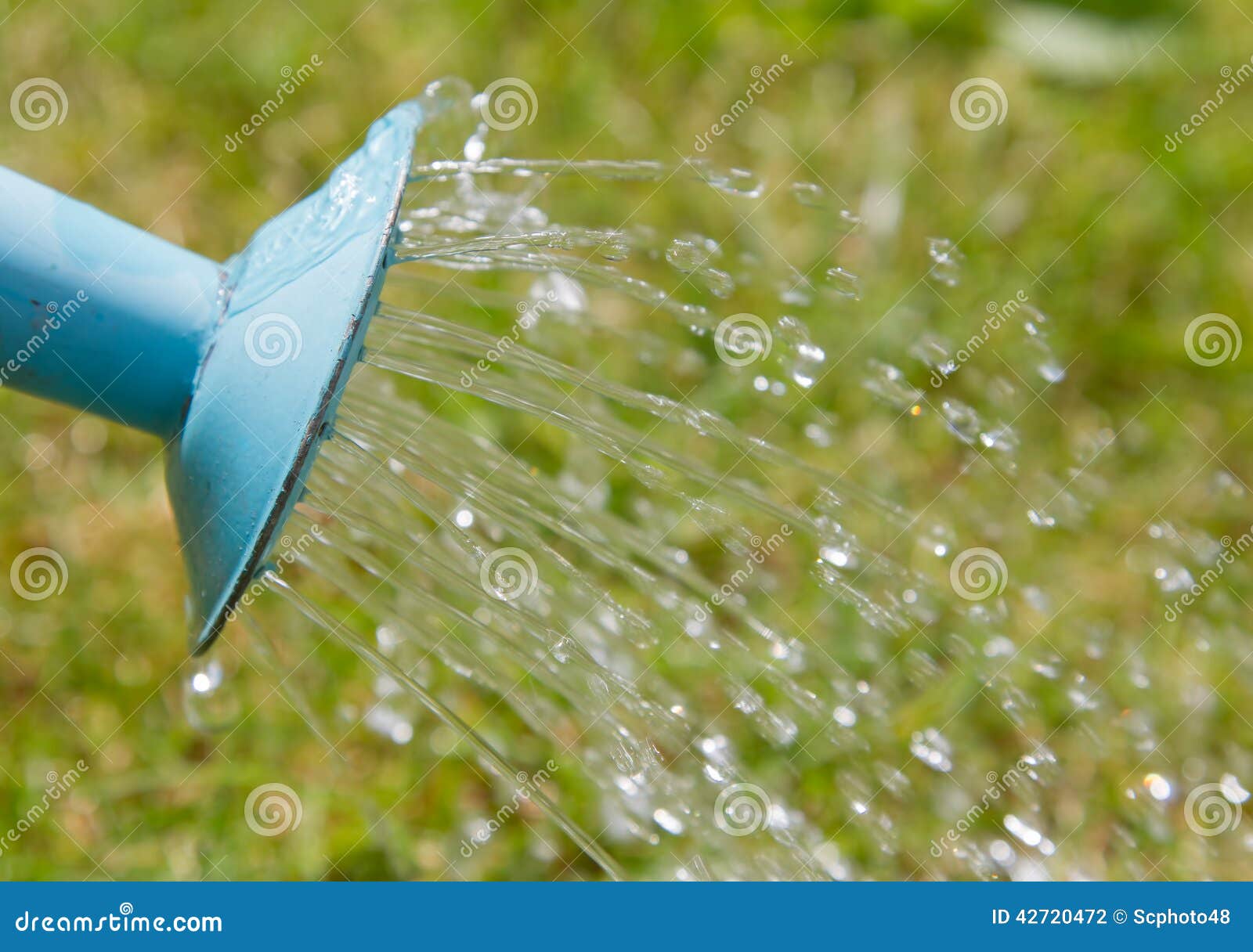 Water Het Gieten Van Een Gieter Stock Foto - Image of gieten, houder ...