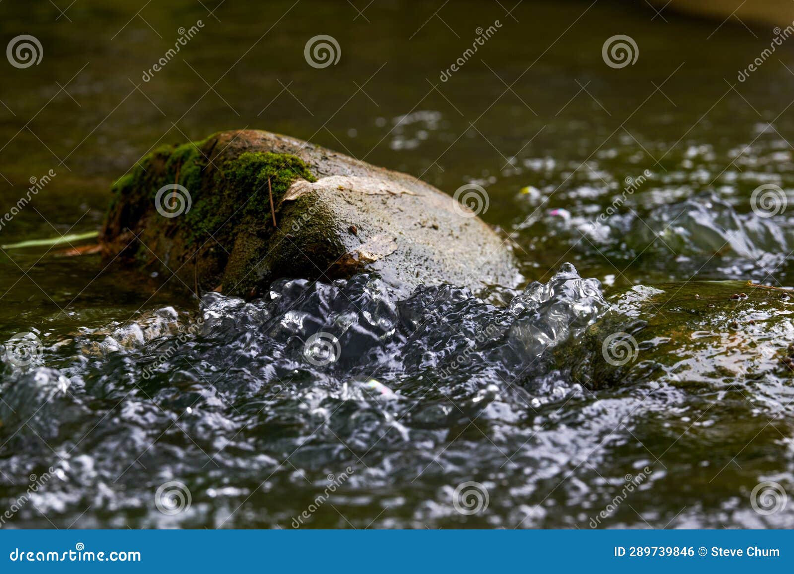 The water hit the stone stock photo. Image of energy - 289739846