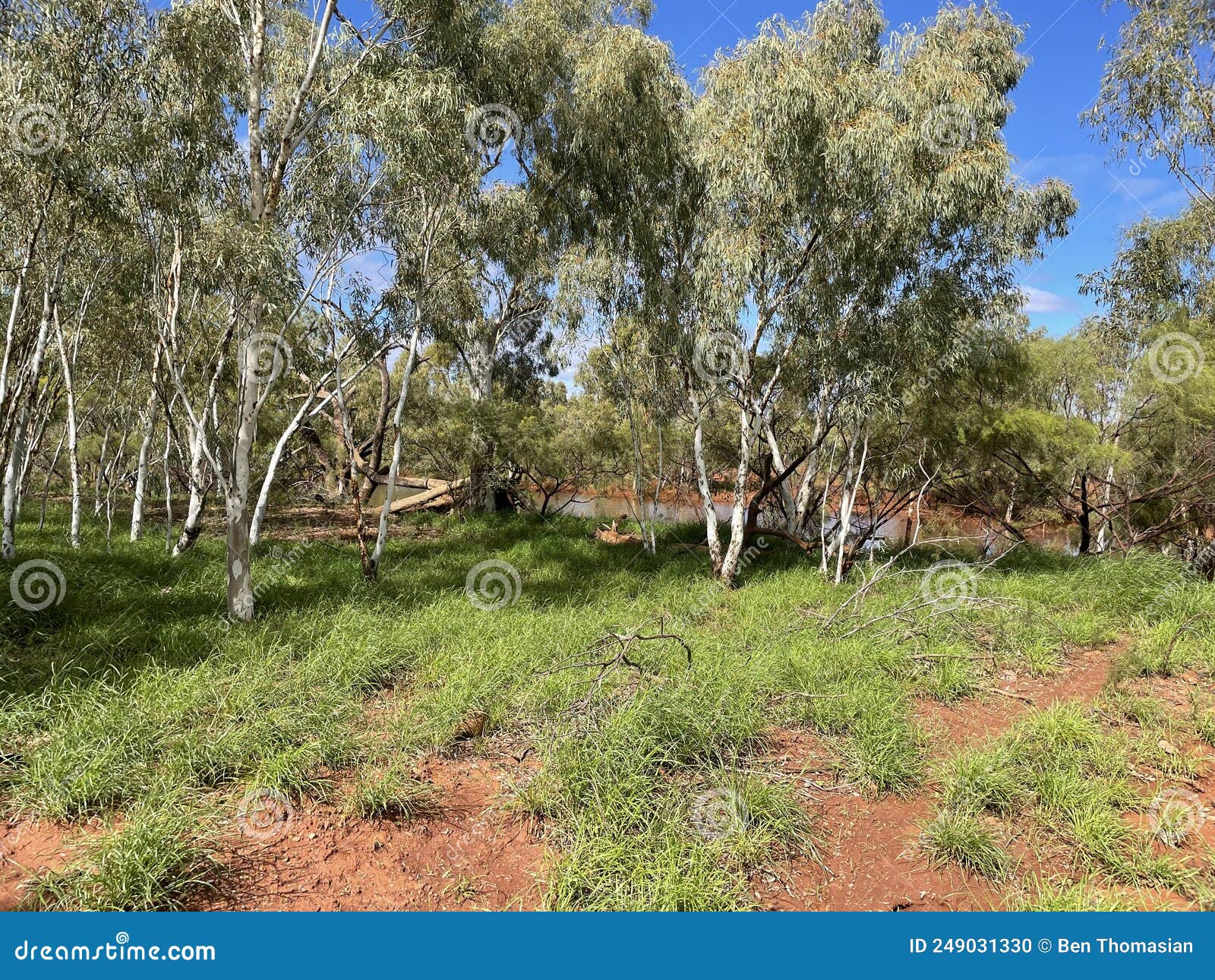A Water Hole in the Australian Outback Stock Photo - Image of outback ...