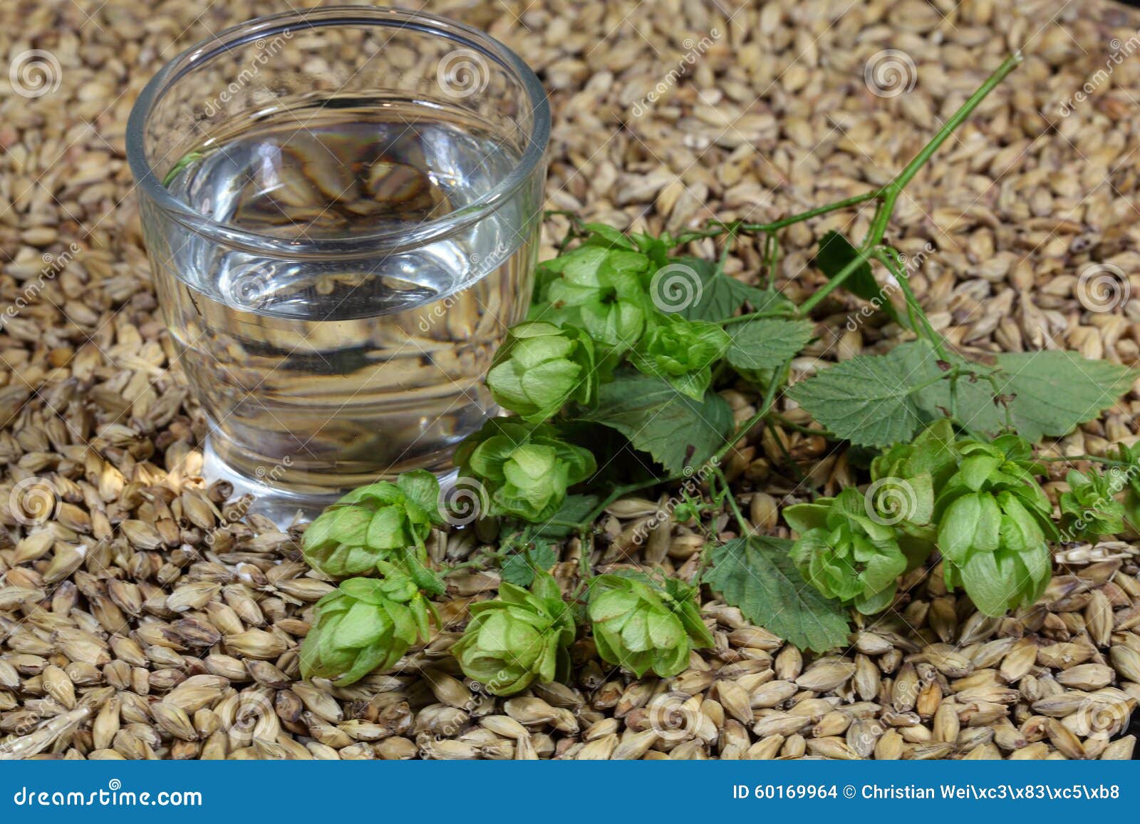 Water, hops and malt stock photo. Image of assortment - 60169964