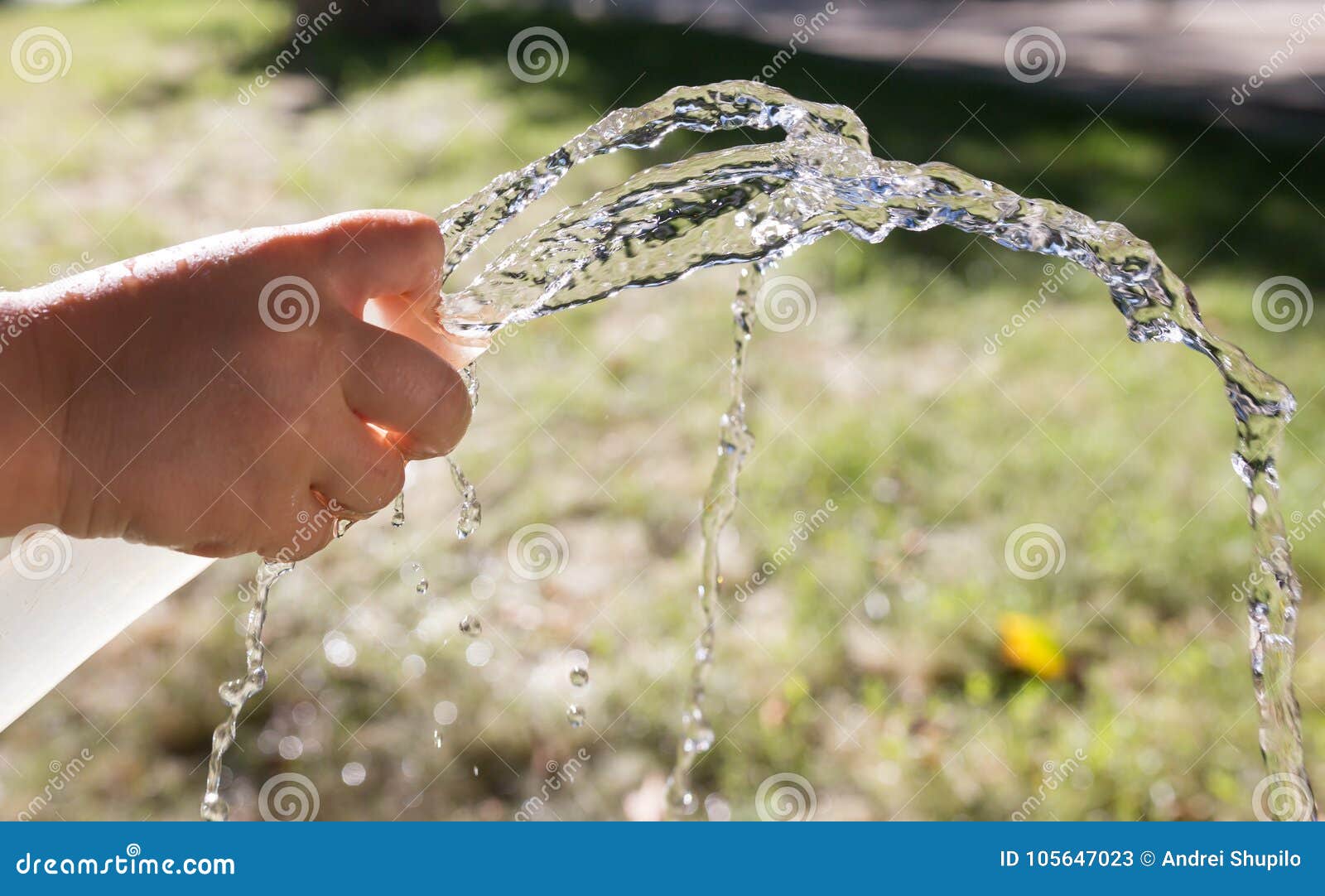 Water from the Hose Outdoors Stock Image - Image of yard, water: 105647023