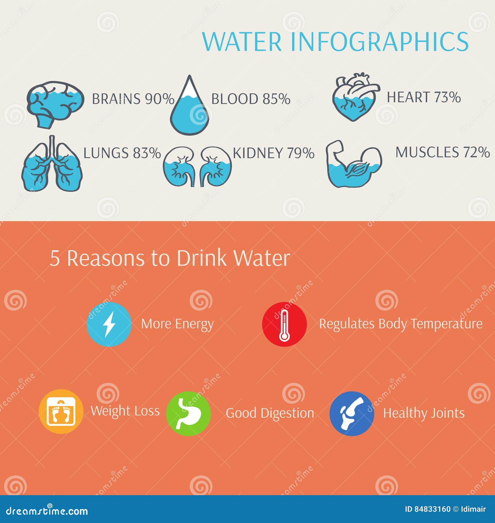 Water In Human Body Infographics Vector | CartoonDealer.com #84833160