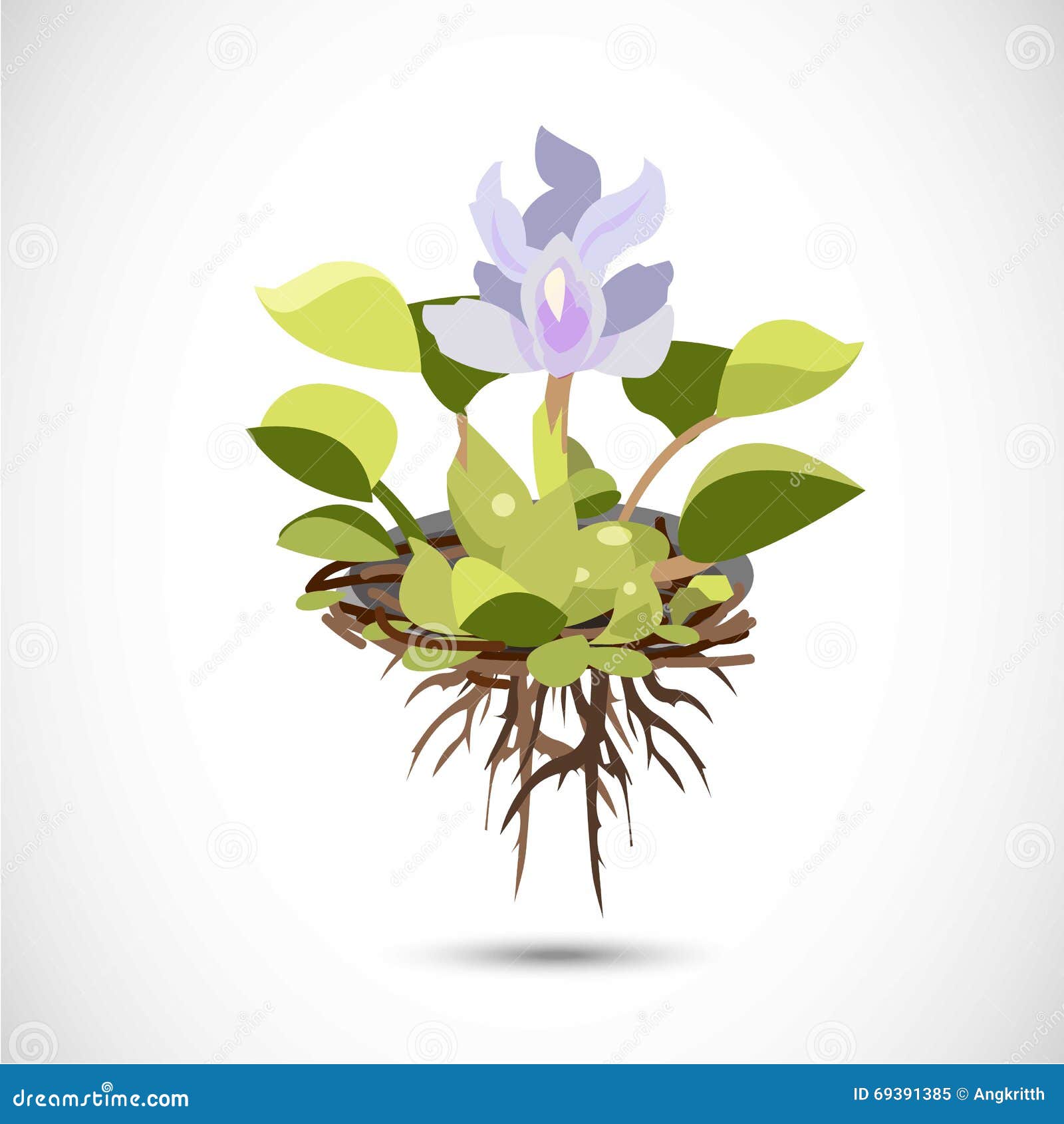 Water Hyacinth Stock Illustrations – 157 Water Hyacinth Stock ...