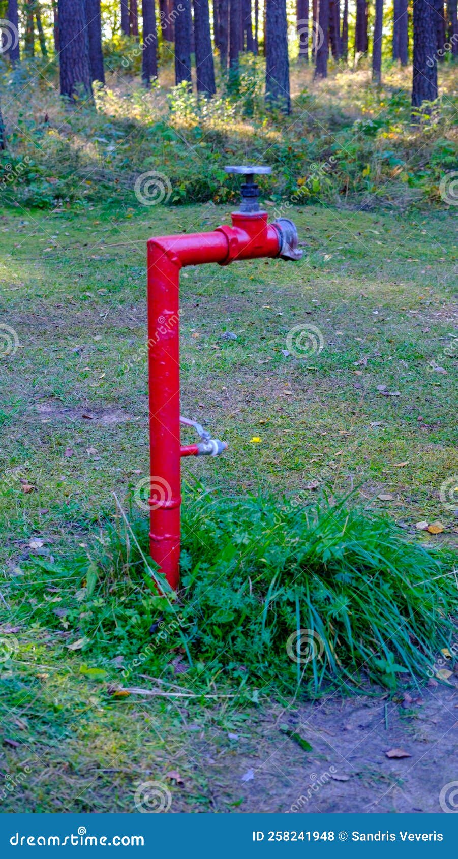 Water Hydrant, Water Intake Point in the Park on the Grass by the ...