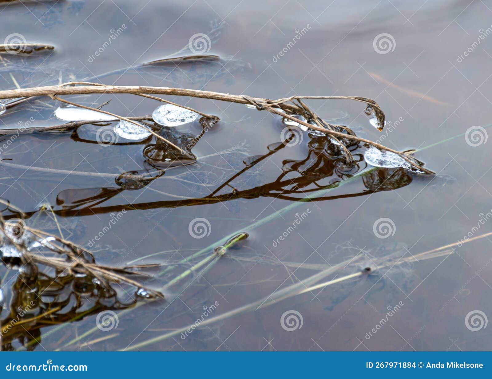 Water and Ice Formations in the River, Frozen Ice Drops, Winter Stock ...