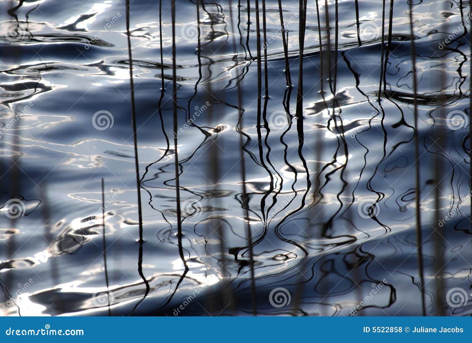 Water impressions stock photo. Image of water, reflection - 5522858