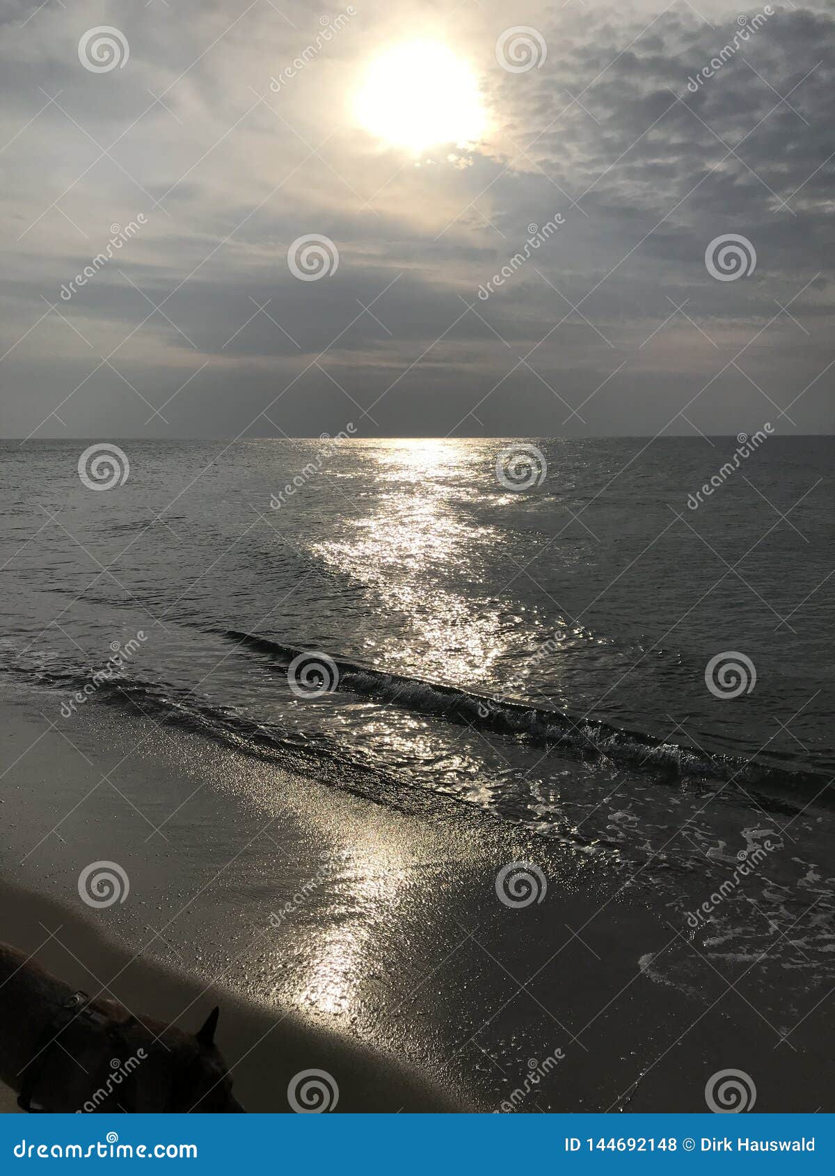 The water impressions stock photo. Image of relaxed - 144692148