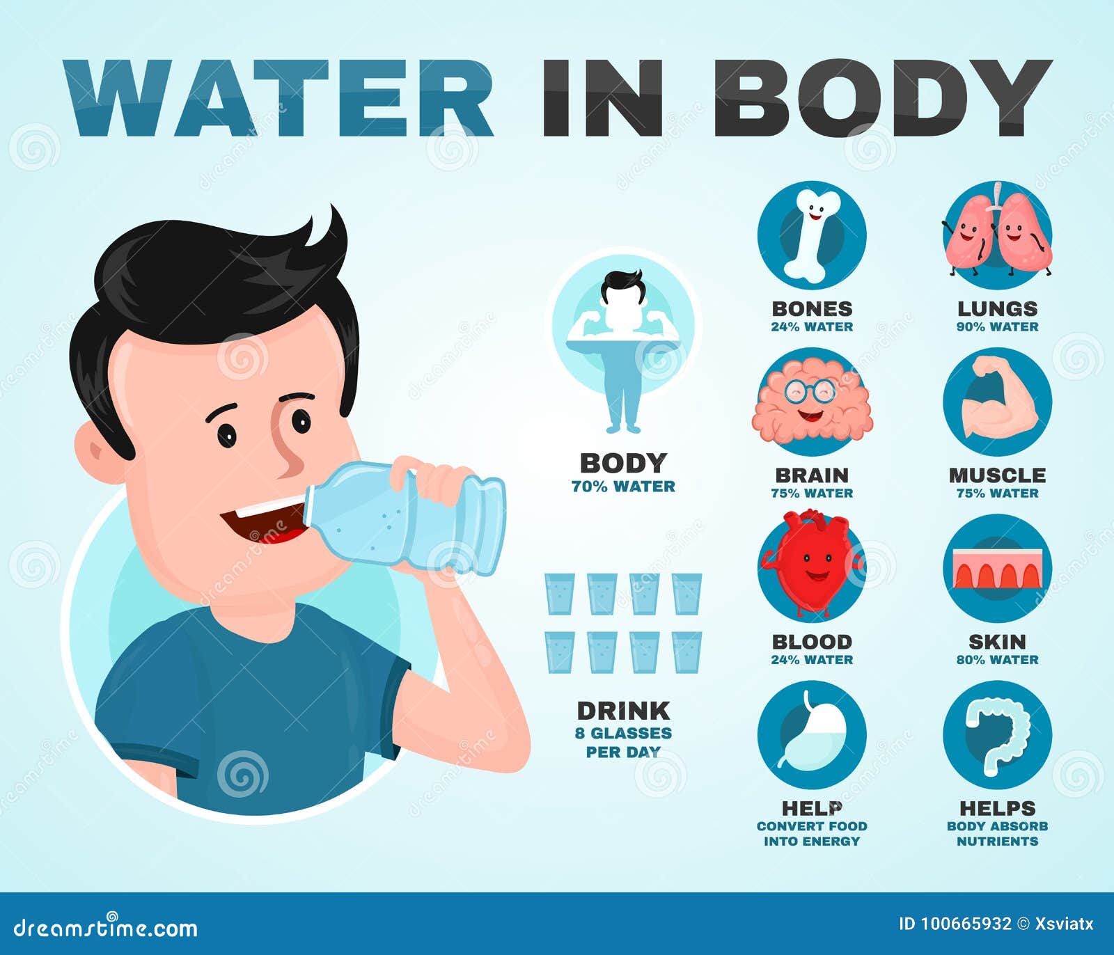 Water in Infographic Lichaam Jonge Mens Vector Illustratie ...