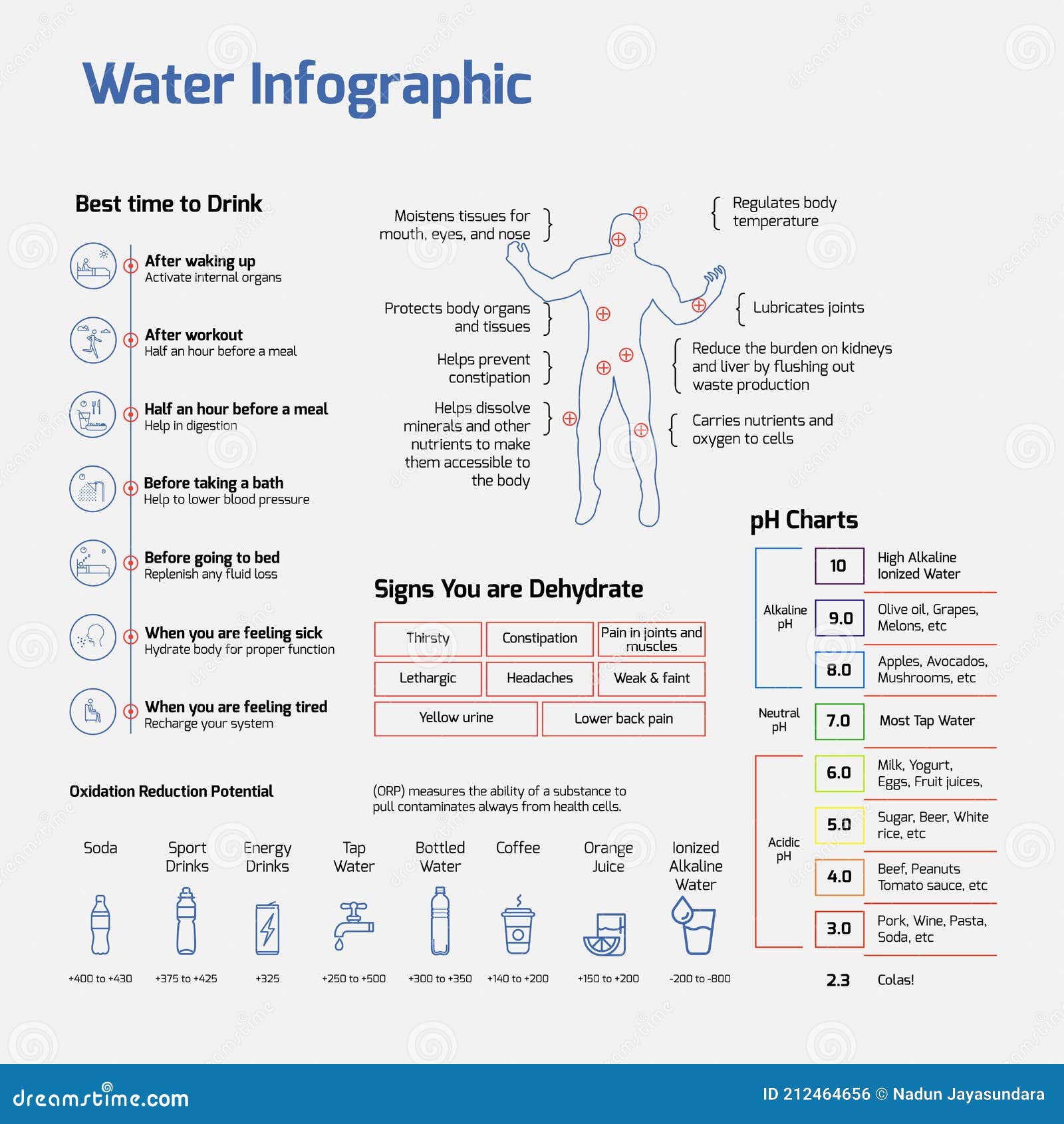 Infographics Hydration Stock Illustrations – 124 Infographics Hydration ...