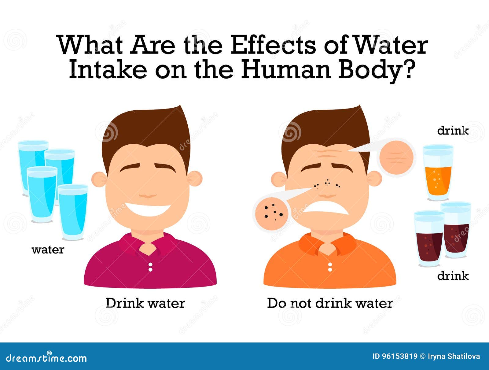 Water Intake on the Human Body Stock Vector - Illustration of whelk ...