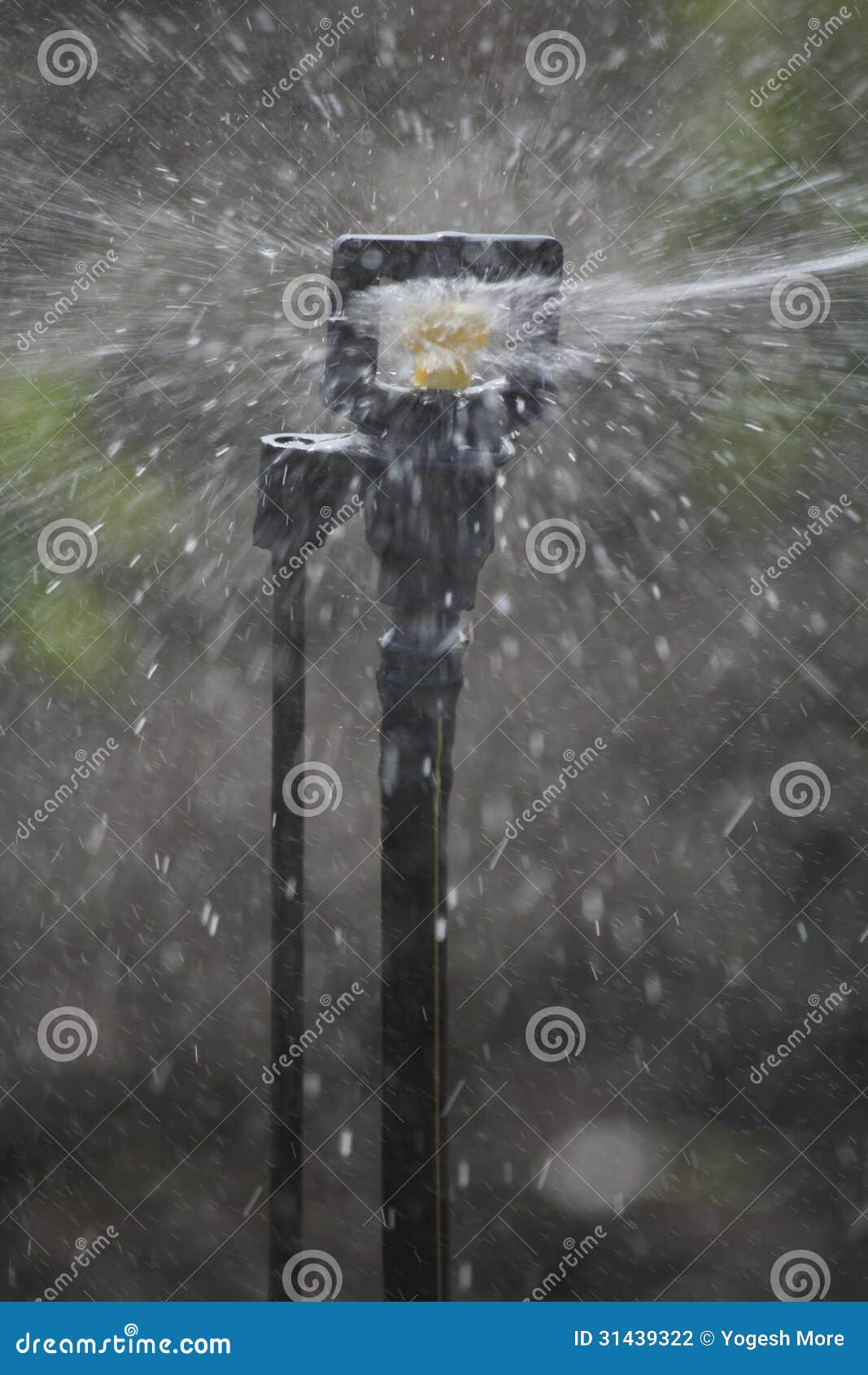 Water Irrigation, Microjet Sprinkler Stock Photo - Image of microjet ...
