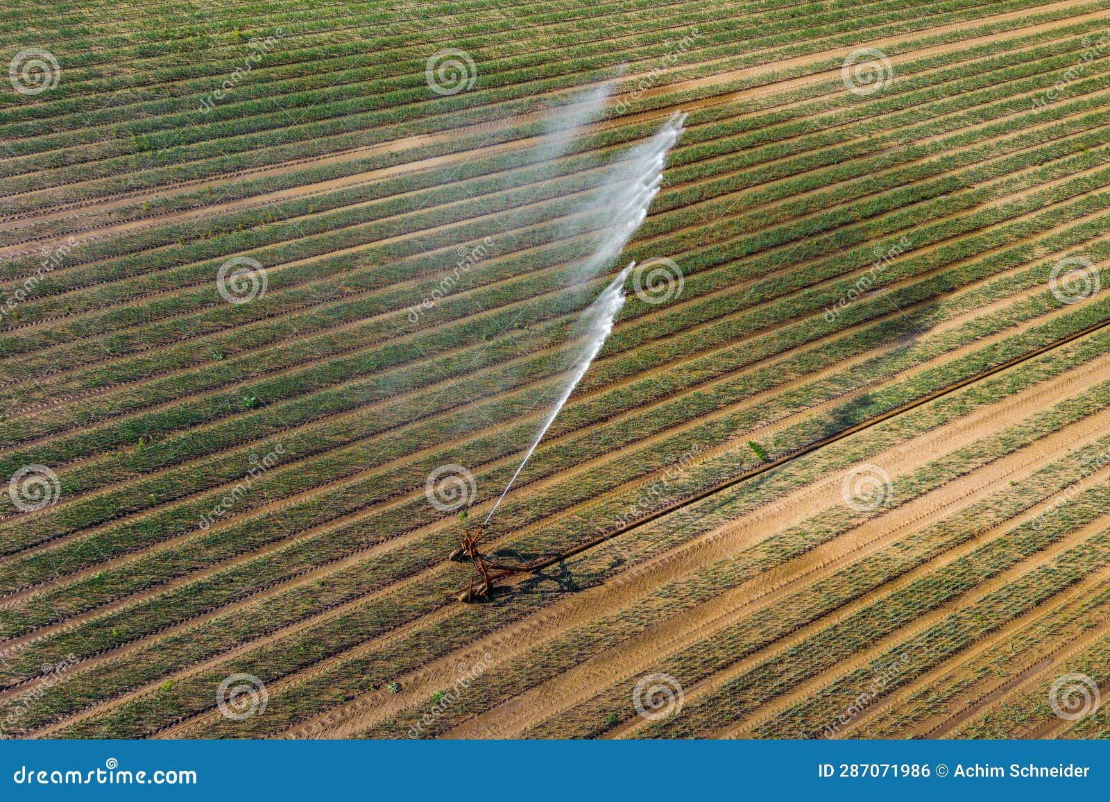 Water Jet in Wind As Aerial View Stock Photo - Image of system, germany ...