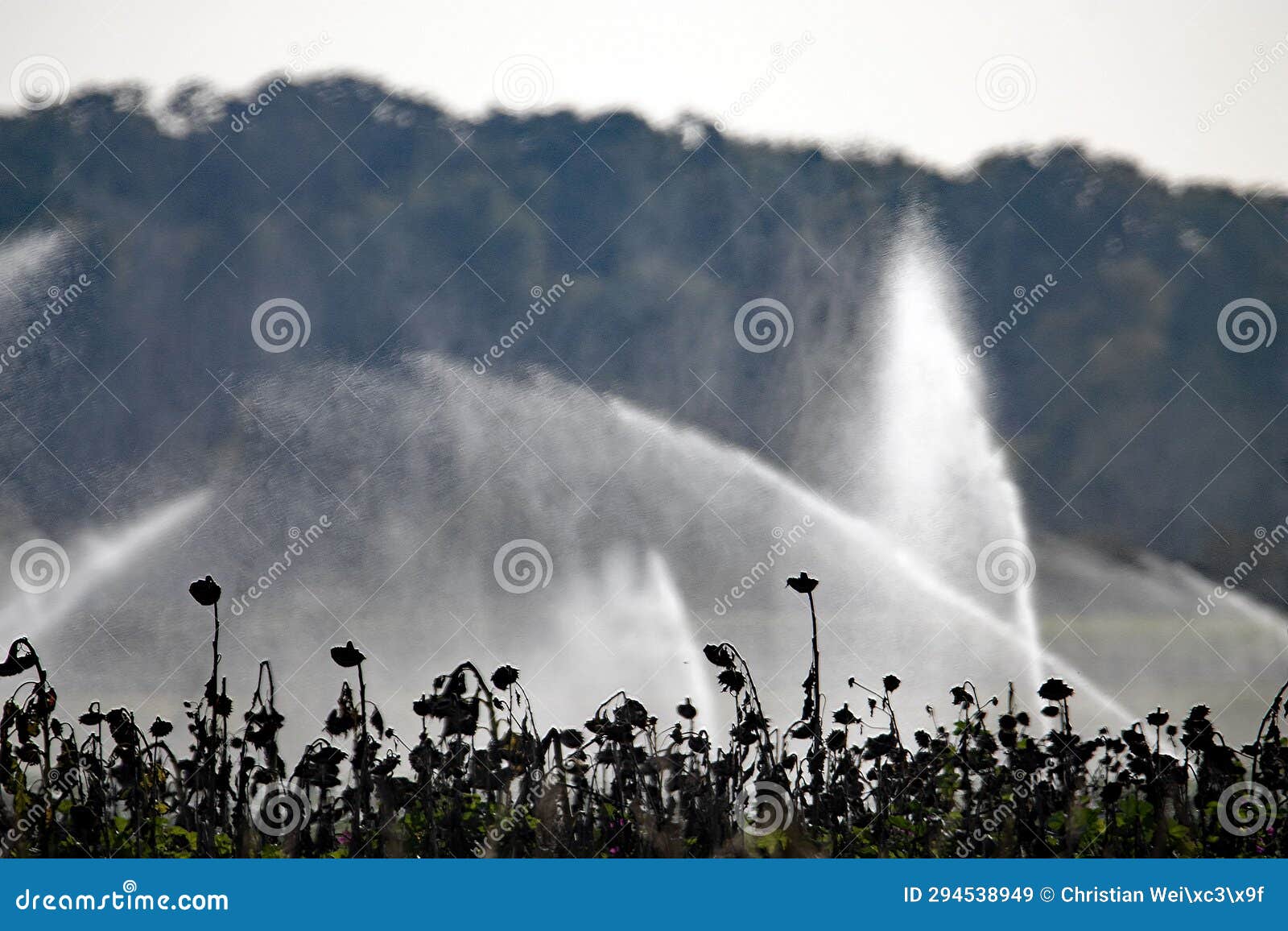 Water Jets from an Irrigation System Over a Field Stock Image - Image ...
