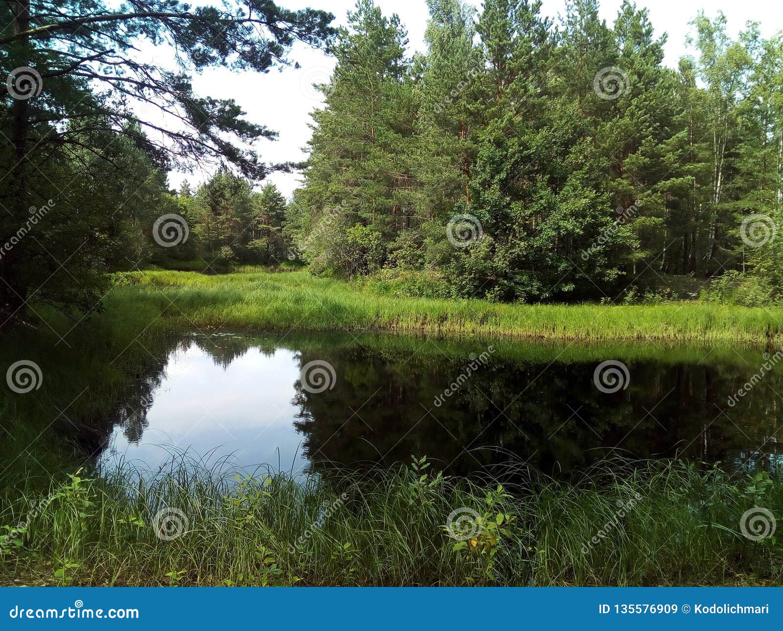 Water, Lake, Landscape, Nature, River, Sky, Reflection, Tree, Forest ...