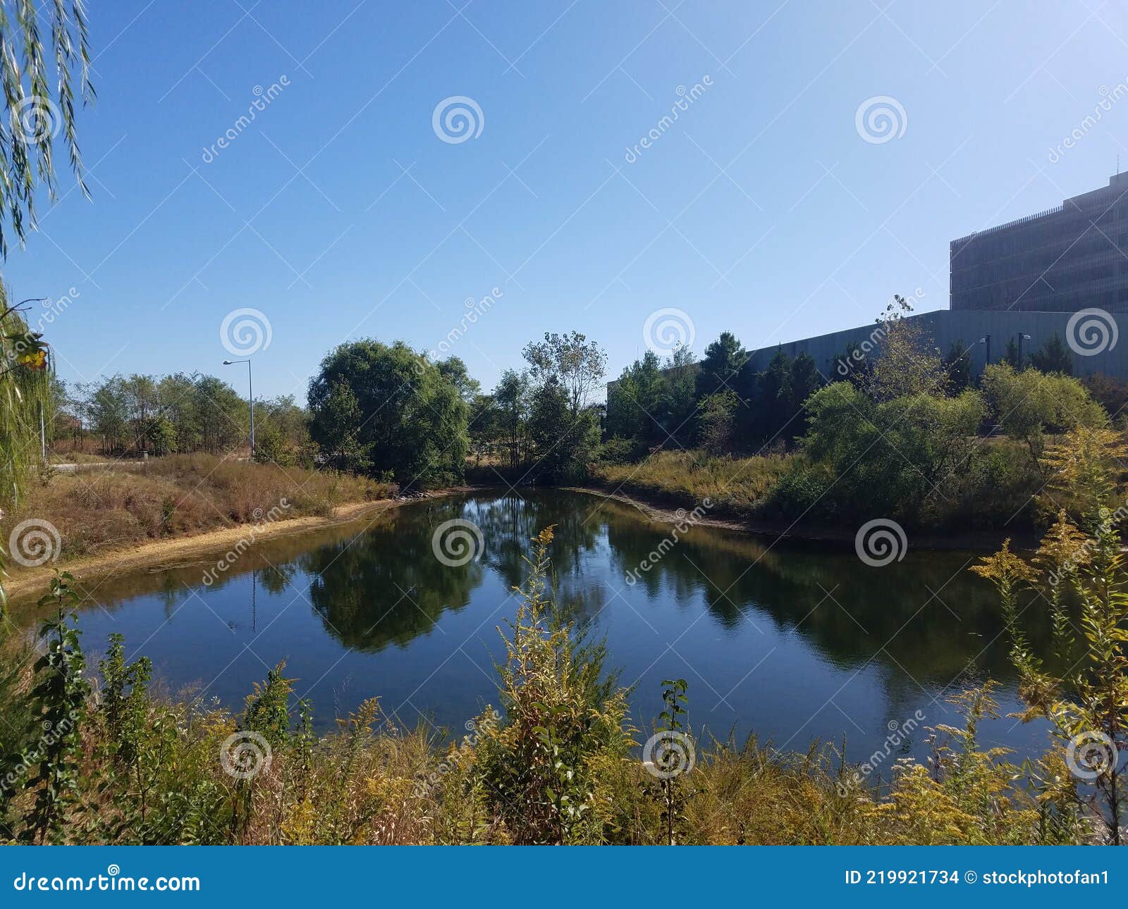 Water in Lake or Pond and Office Building Stock Photo - Image of grass ...