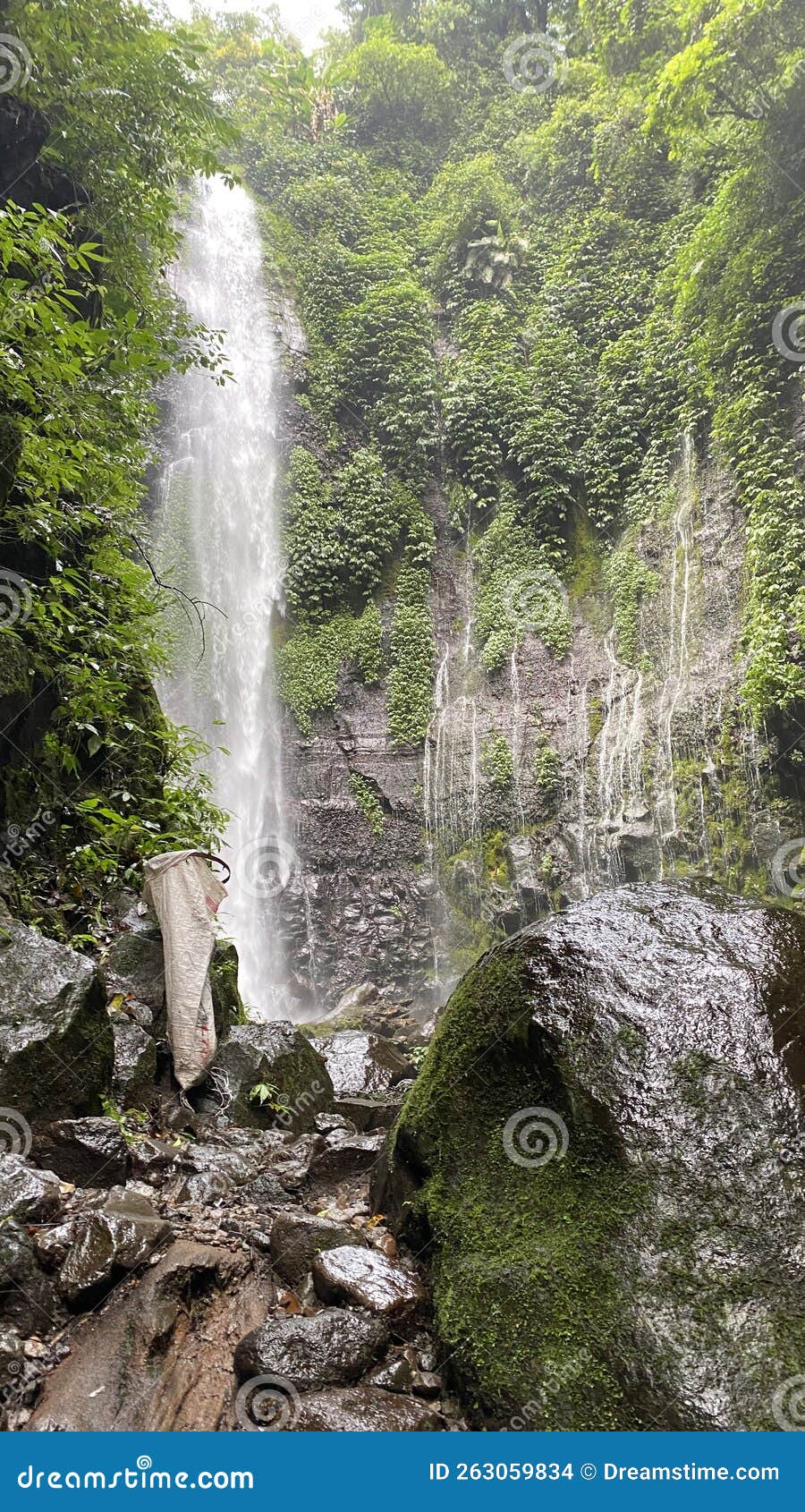Water stock photo. Image of lawe, water, java, ungaran - 263059834
