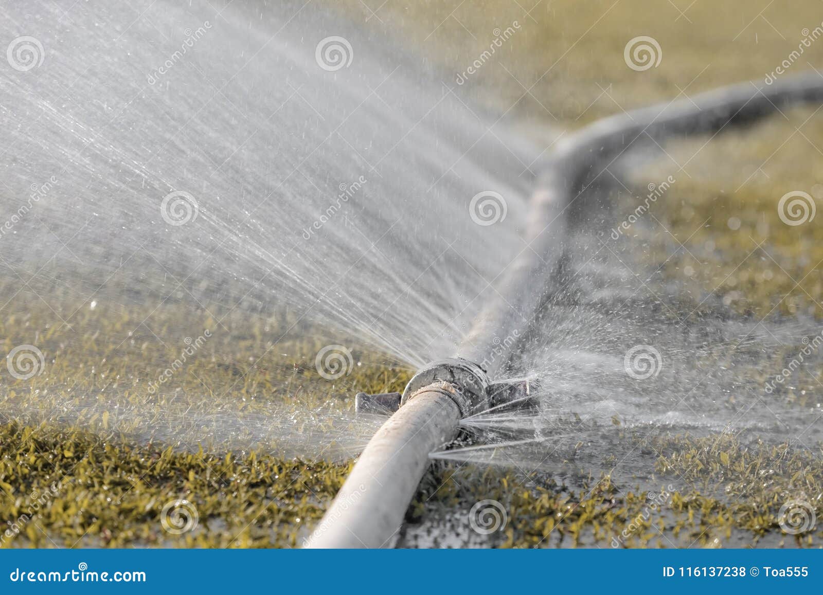 Water Leaking from Hole in a Hose Stock Photo - Image of drought, leak ...