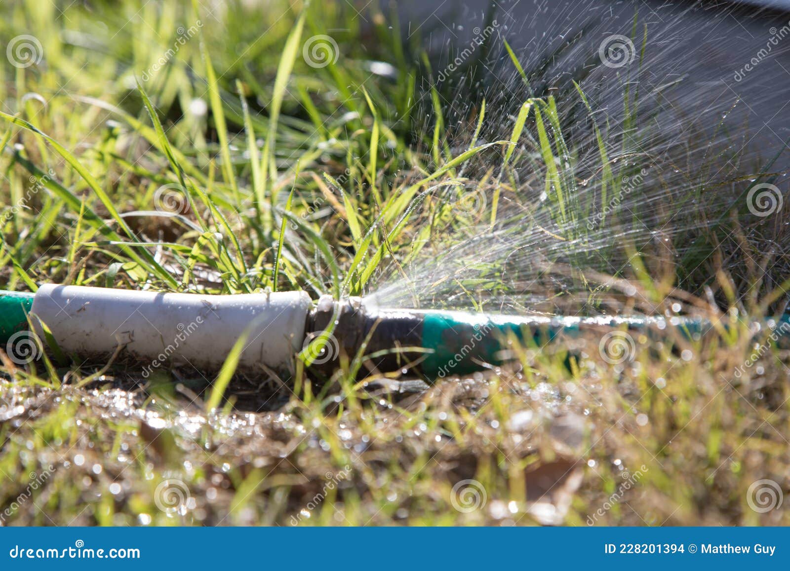 Water leaking from hose stock photo. Image of droplet - 228201394