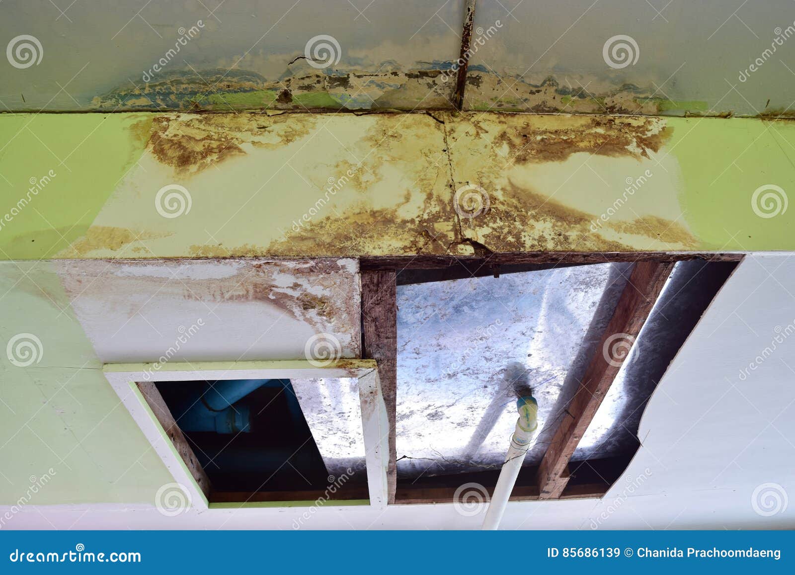 Water Leaks On The Ceiling Cause Damage, Peeling And Mold. Mold Growth ...